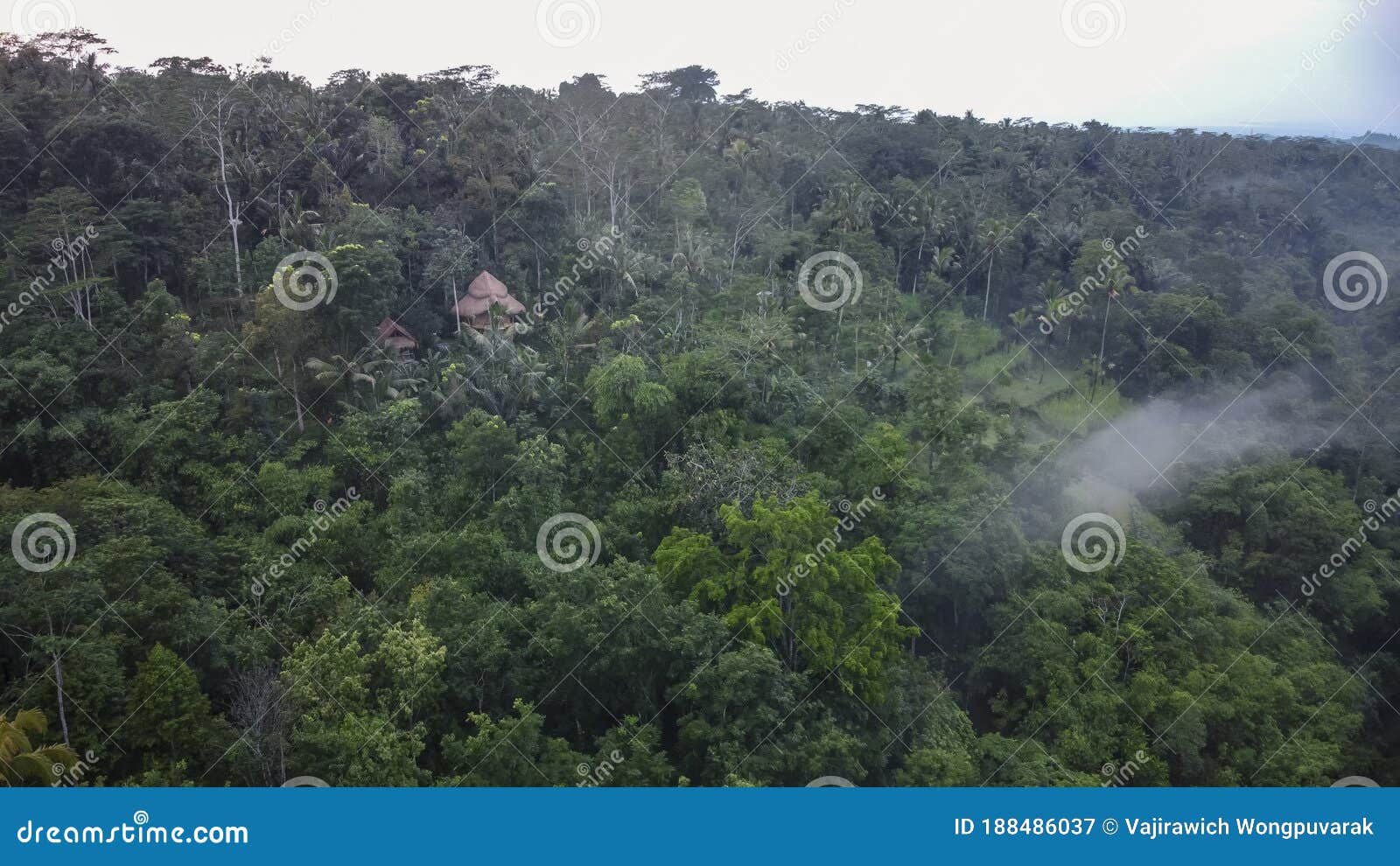 Aerial View of Bamboo Tree House in Tropical Forest. Stock Image ... Aerial View of Bamboo Tree House in Tropical Forest. Stock Image ...