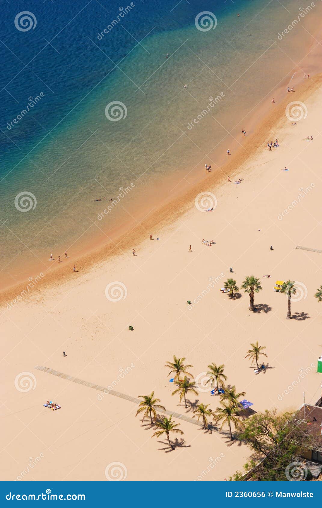 Aerial view on beach stock photo. Image of tree, shape - 2360656