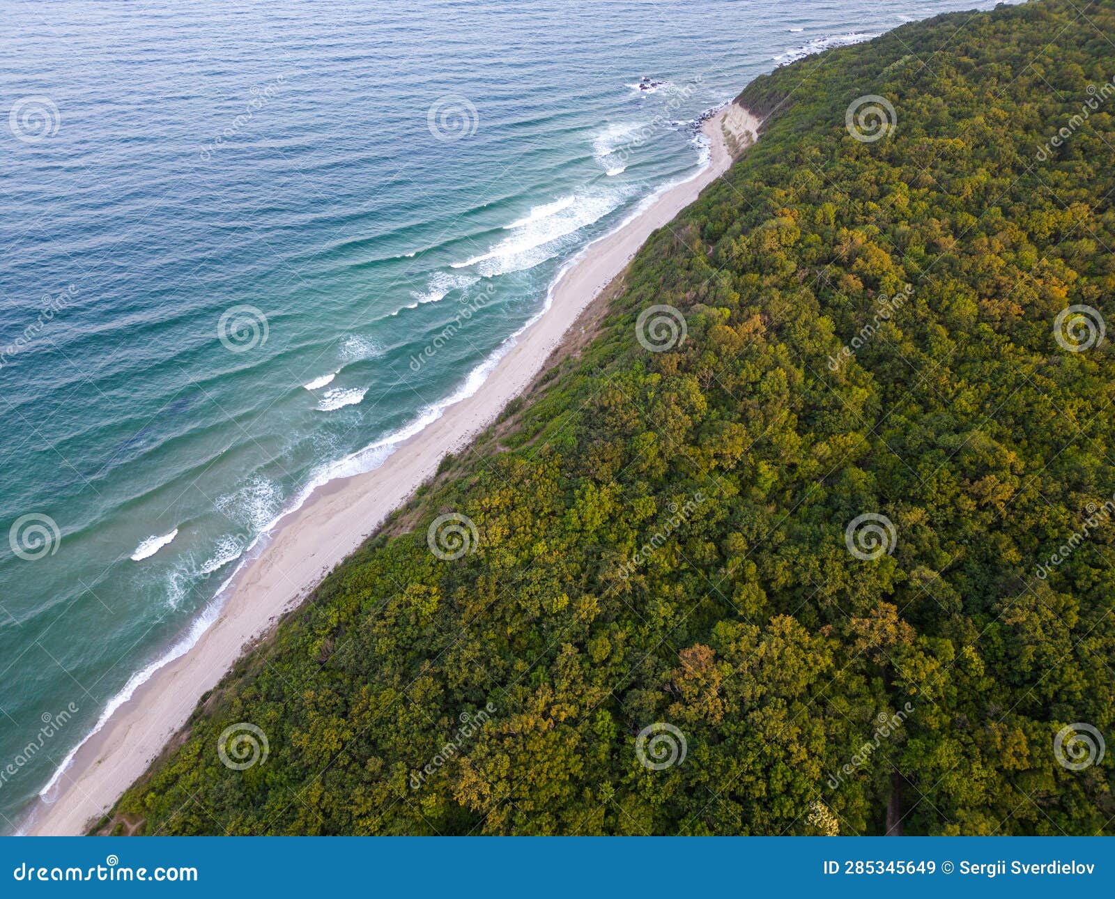 Aerial View of a Beautiful Beach with a Forest and Sand. Stock Image ...