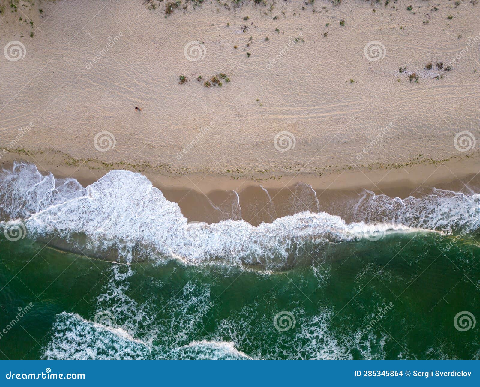 Aerial View of a Beautiful Beach with a Forest and Sand. Stock Photo ...