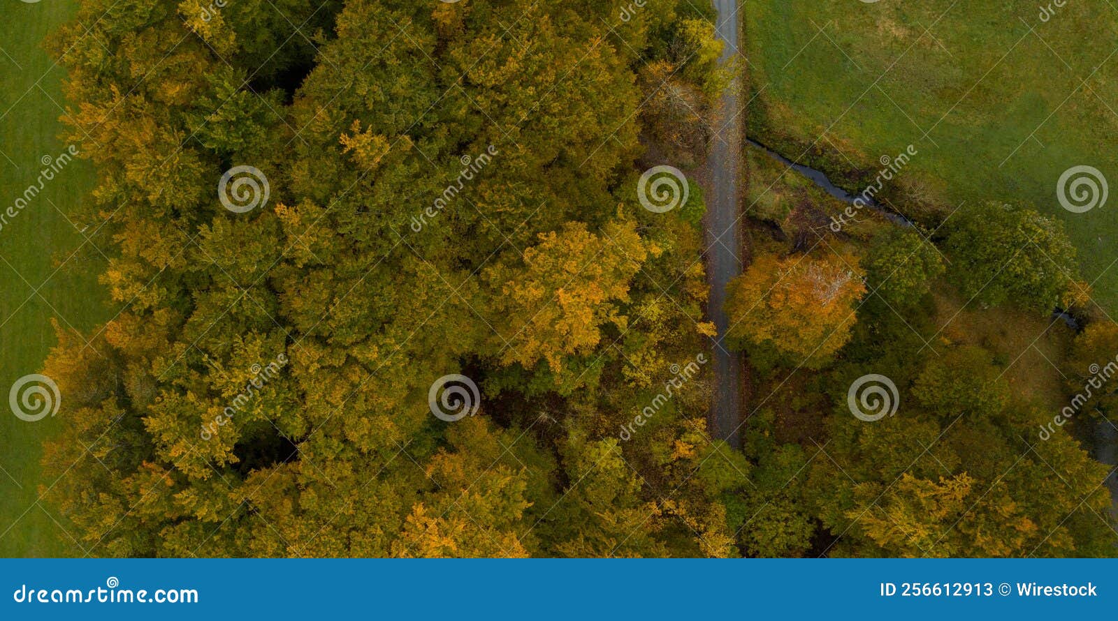 Aerial View of a Beautiful Forest Stock Image - Image of natural, tree ...