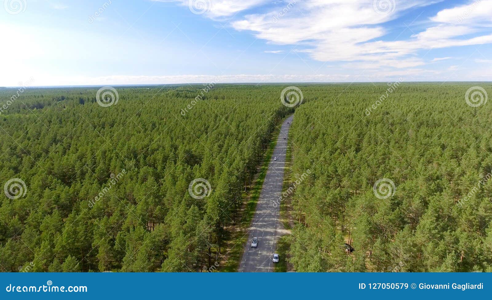 Aerial View of Beautiful Road Across the Forest Stock Image - Image of ...