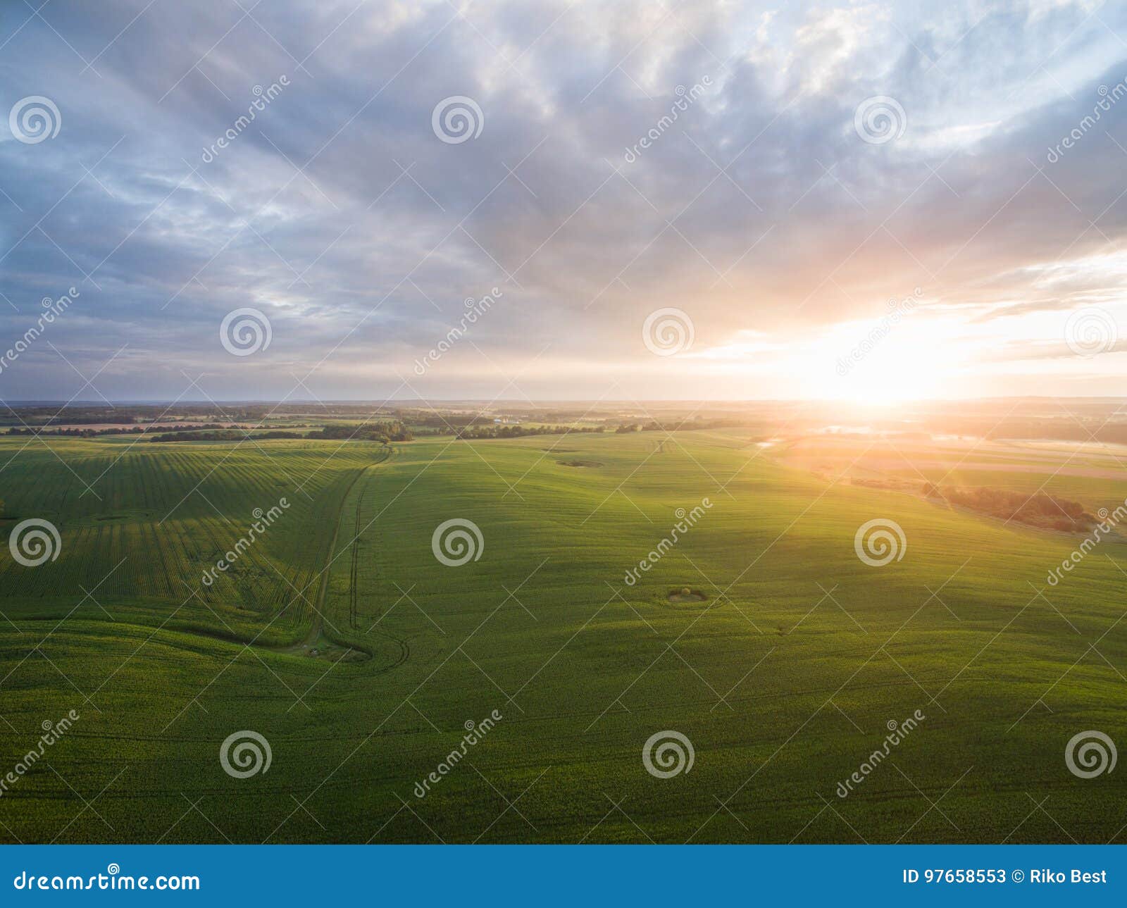 Aerial View of a Beautiful Sunset Over Green Corn Fields - Agricultural ...