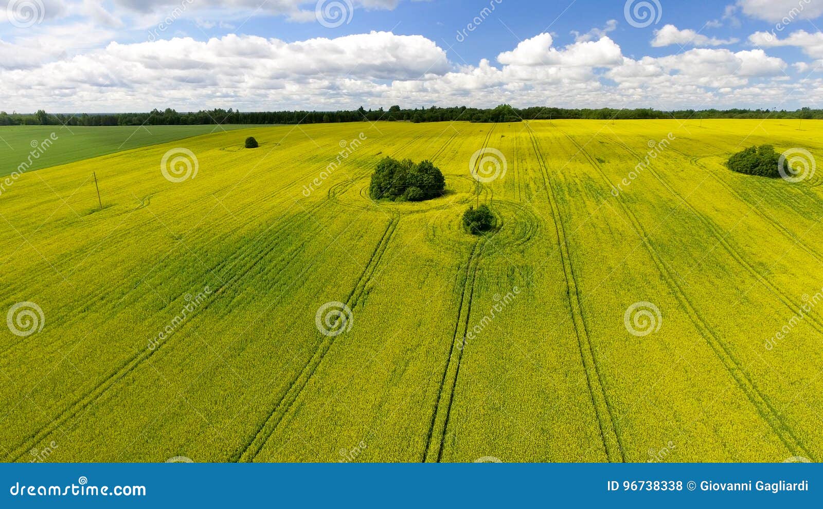 Aerial View of Beautiful Yellow Meadows in Open Countryside Stock Photo ...
