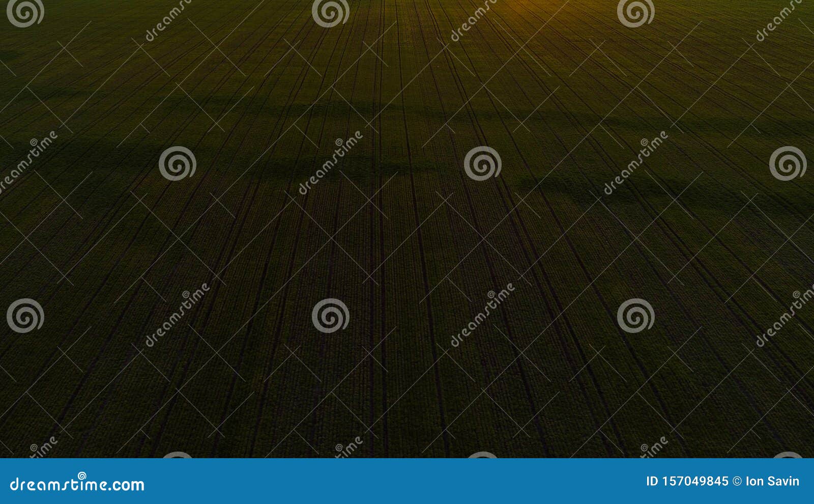Aerial View of a Big Green Field Stock Image - Image of harvest ...