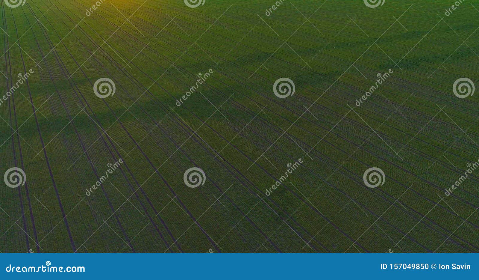 Aerial View of a Big Prosperous Field Stock Photo - Image of view ...