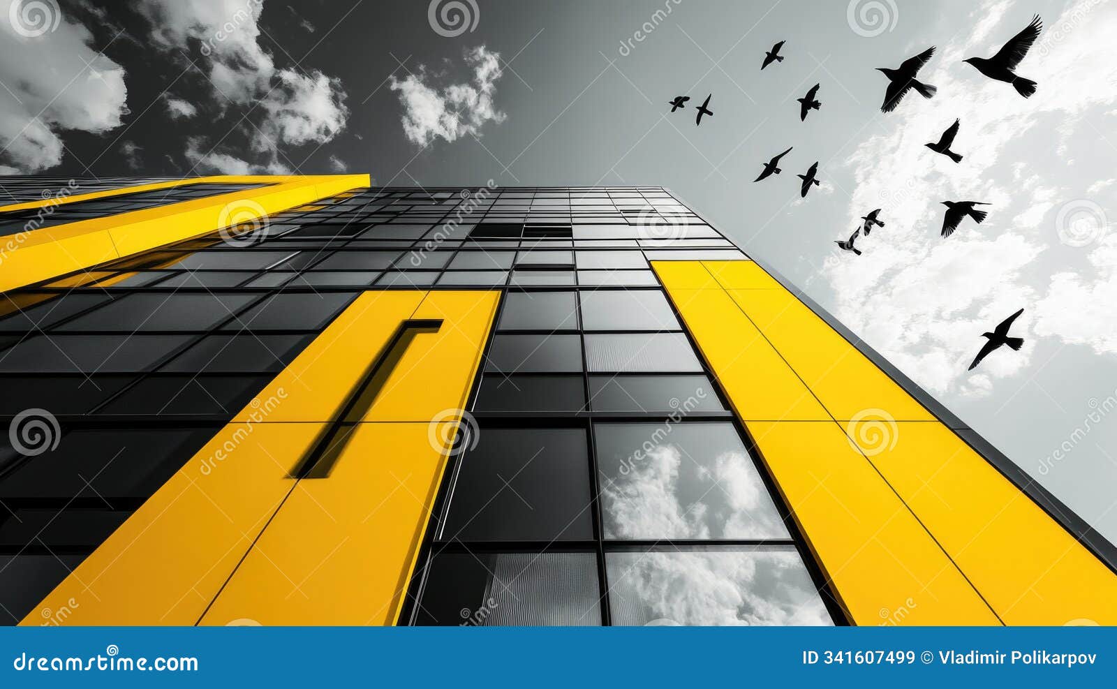 Aerial View of Birds Soaring Above Urban Skyscraper Stock Image - Image ...