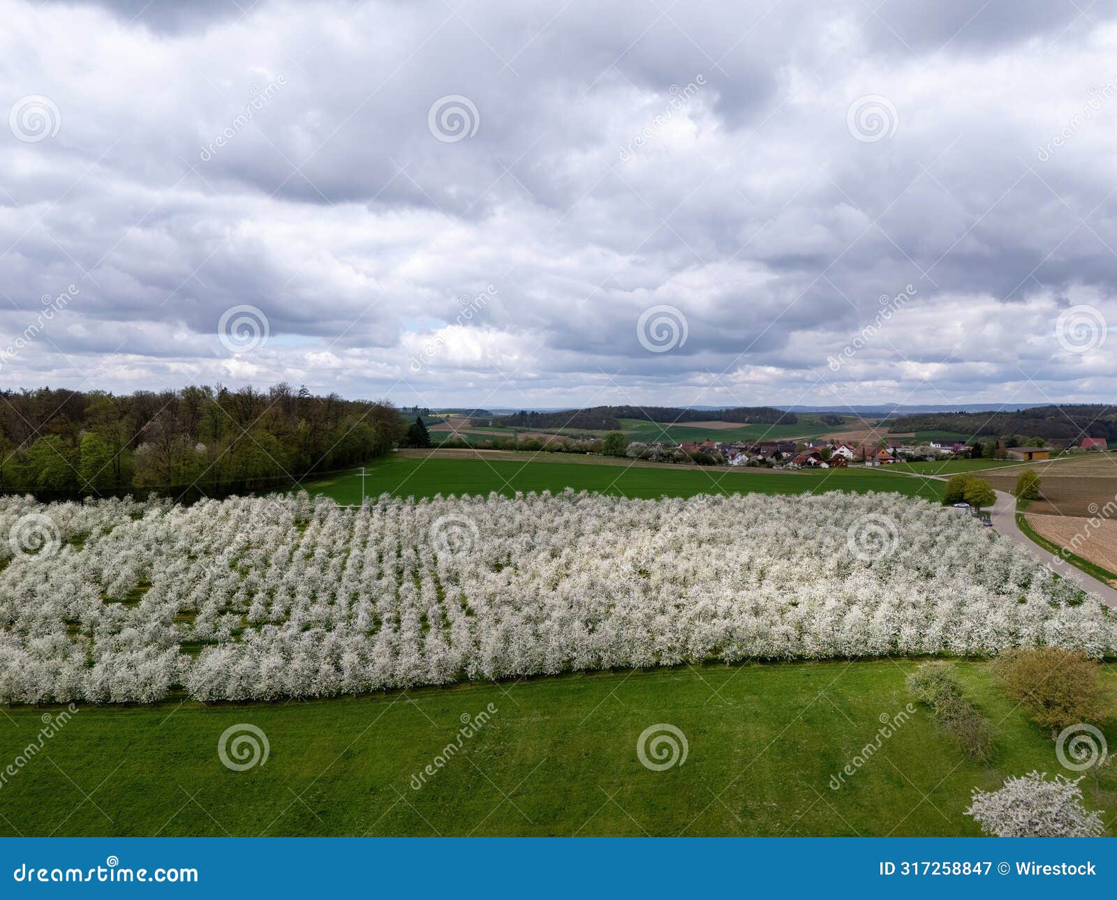 Aerial View of Blooming Fruit Trees and Fields in Spring Stock Image ...