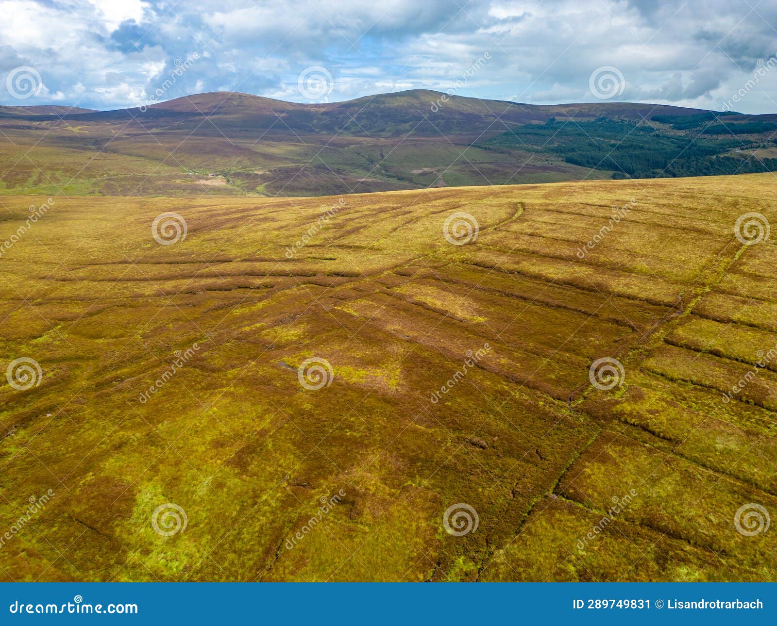 Aerial View of Bogs with Mountains in Background in Sally Gap Stock ...