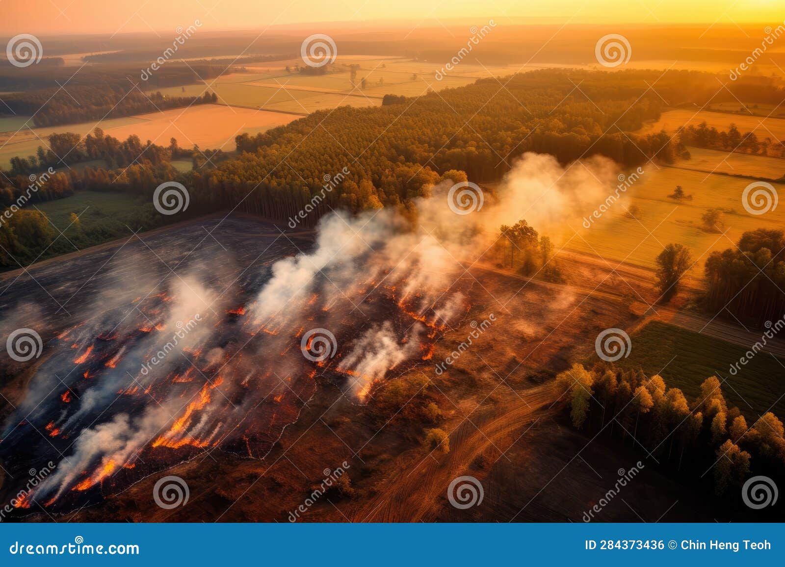 Aerial View of Burning Forest at Sunset. Burned Fields and Forests ...