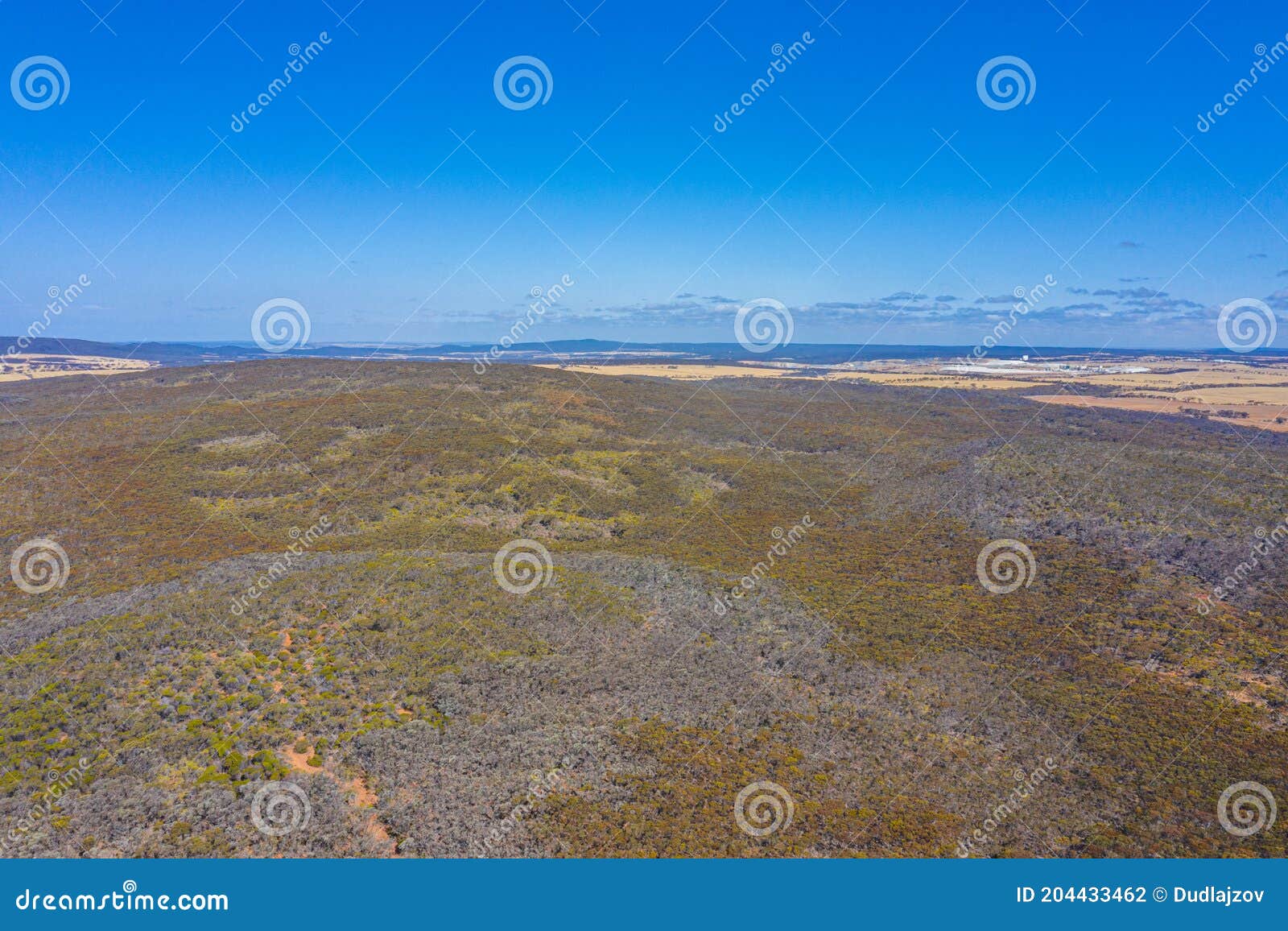 Aerial View of Bush in Western Australia Stock Photo - Image of black ...