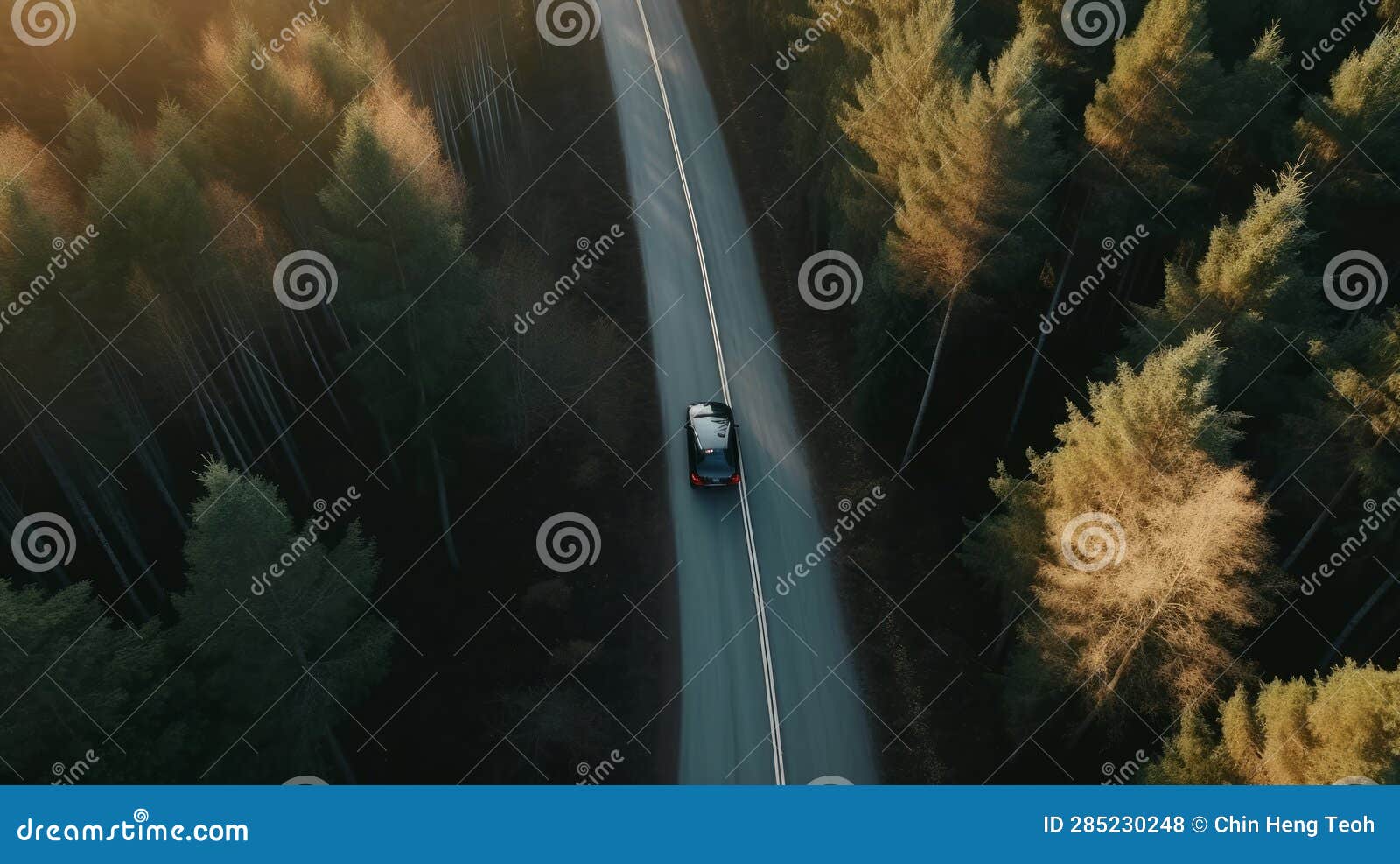 Aerial View of a Car Driving on the Road in the Forest Stock ...