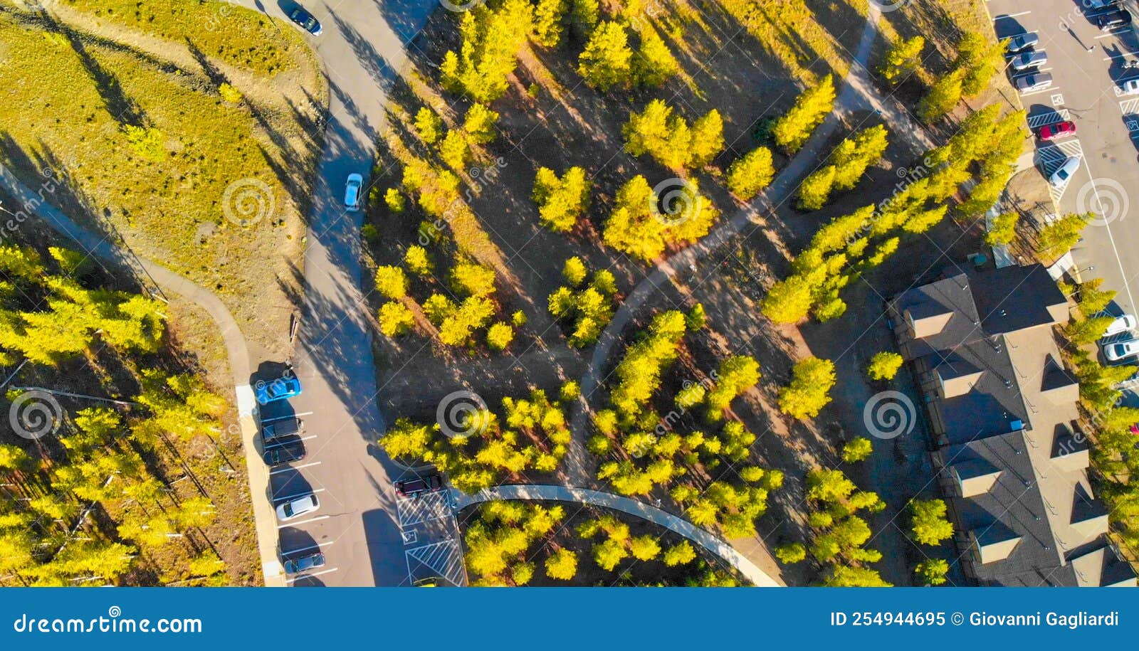 Aerial View of Car Parking in the Middle of a Forest Stock Image ...
