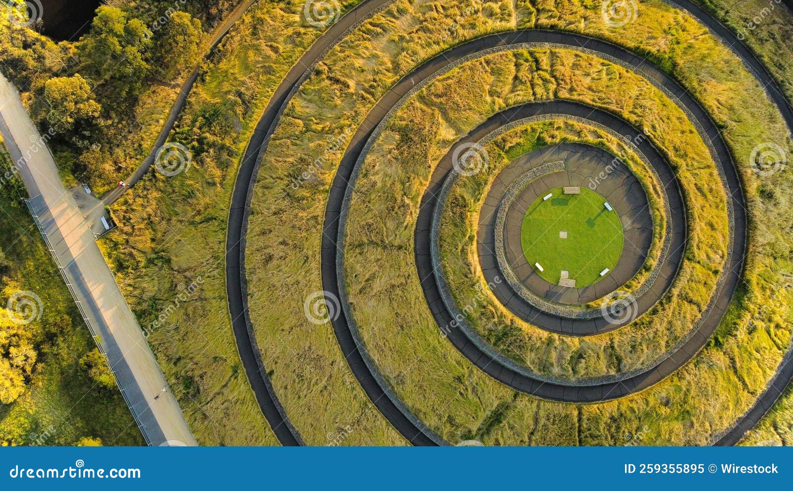 Aerial View of Circling Park Surrounded by Dense Trees and Growing ...