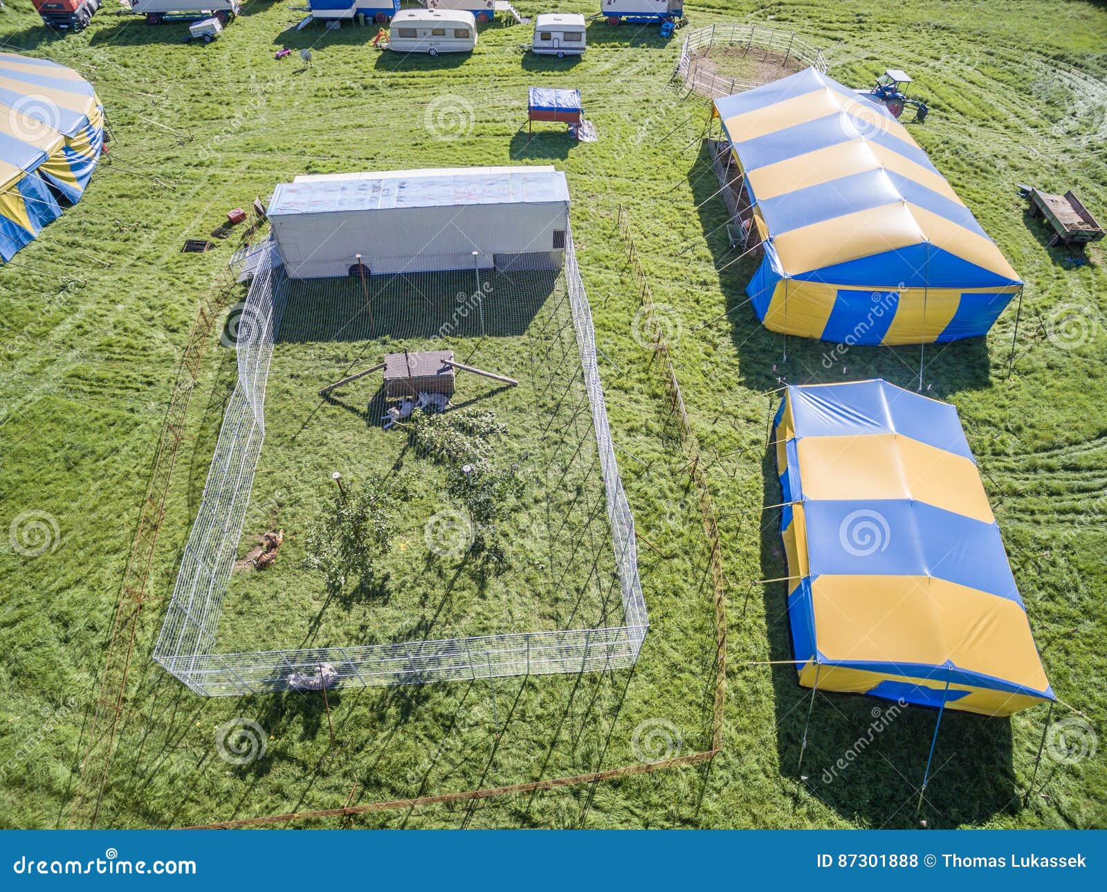 Aerial View of a Circus Tent and White Tigers Stock Photo - Image of ...