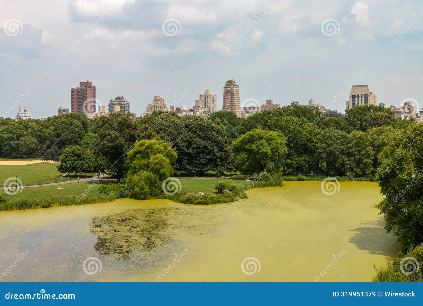Aerial View of City with Small Bushes Below Editorial Stock Image ...