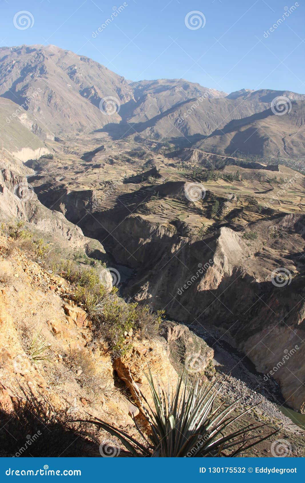 An Aerial View of the Colca Canyon Stock Photo - Image of peru, outdoor ...