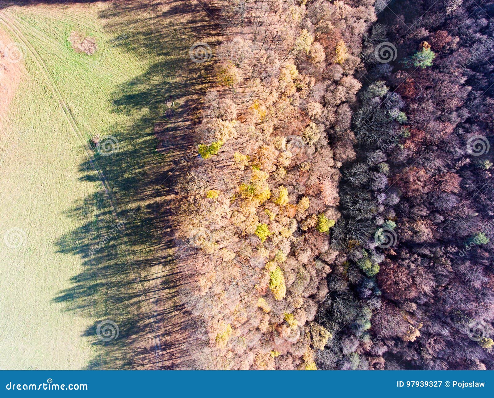 Aerial View of Colorful Autumn Forest. Stock Image - Image of nature ...