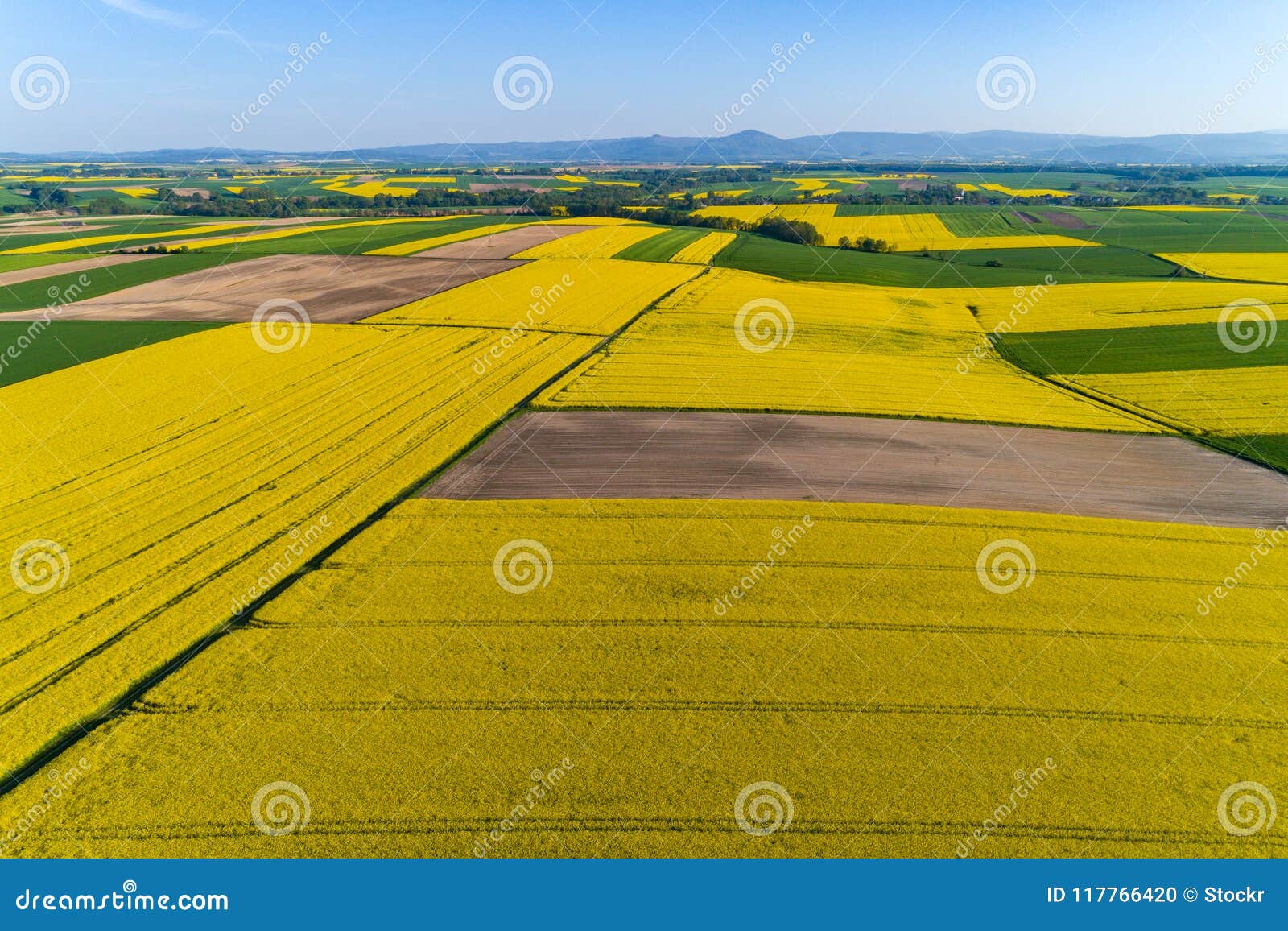 Aerial view on colza field stock photo. Image of bloom - 117766420