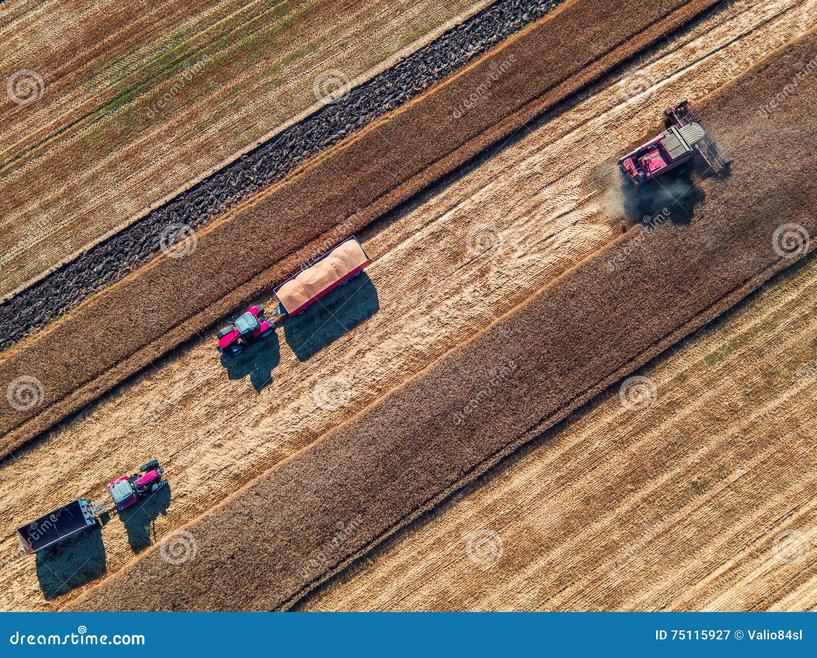Aerial View of Combine on Harvest Field Stock Image - Image of industry ...