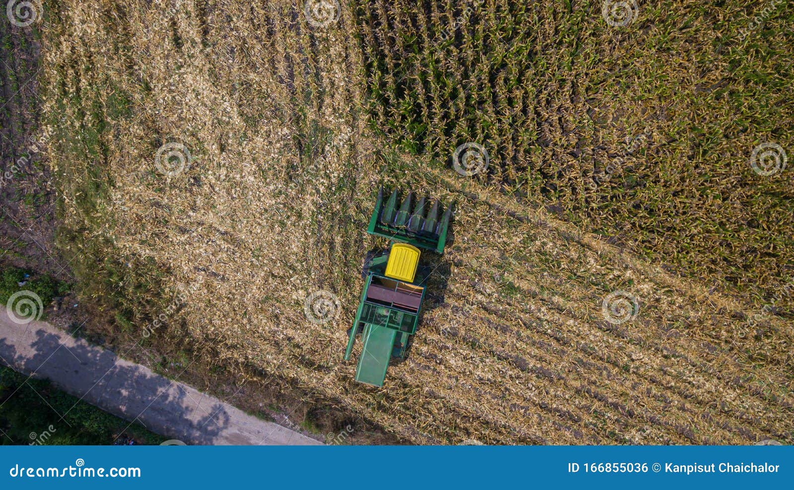 Aerial View Combine Harvesters are Working in Corn Fields Stock Photo ...