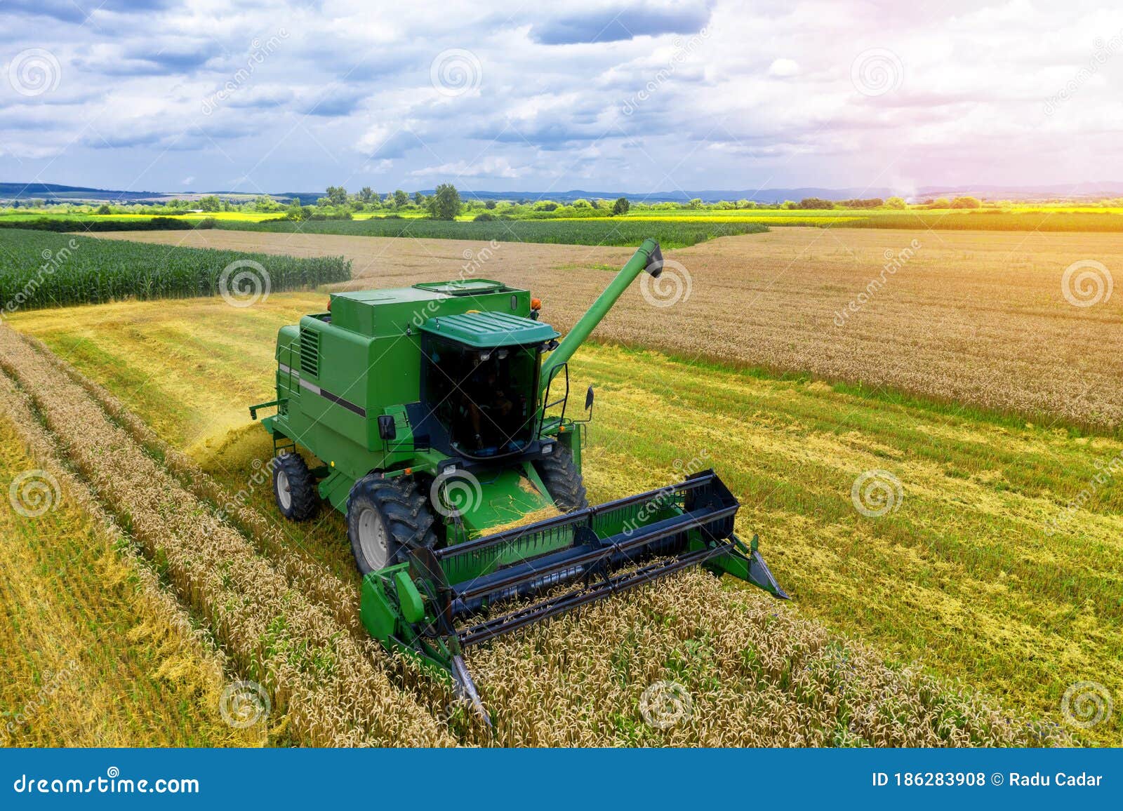 Aerial View on the Combine Working on the Large Wheat Field Stock Photo ...