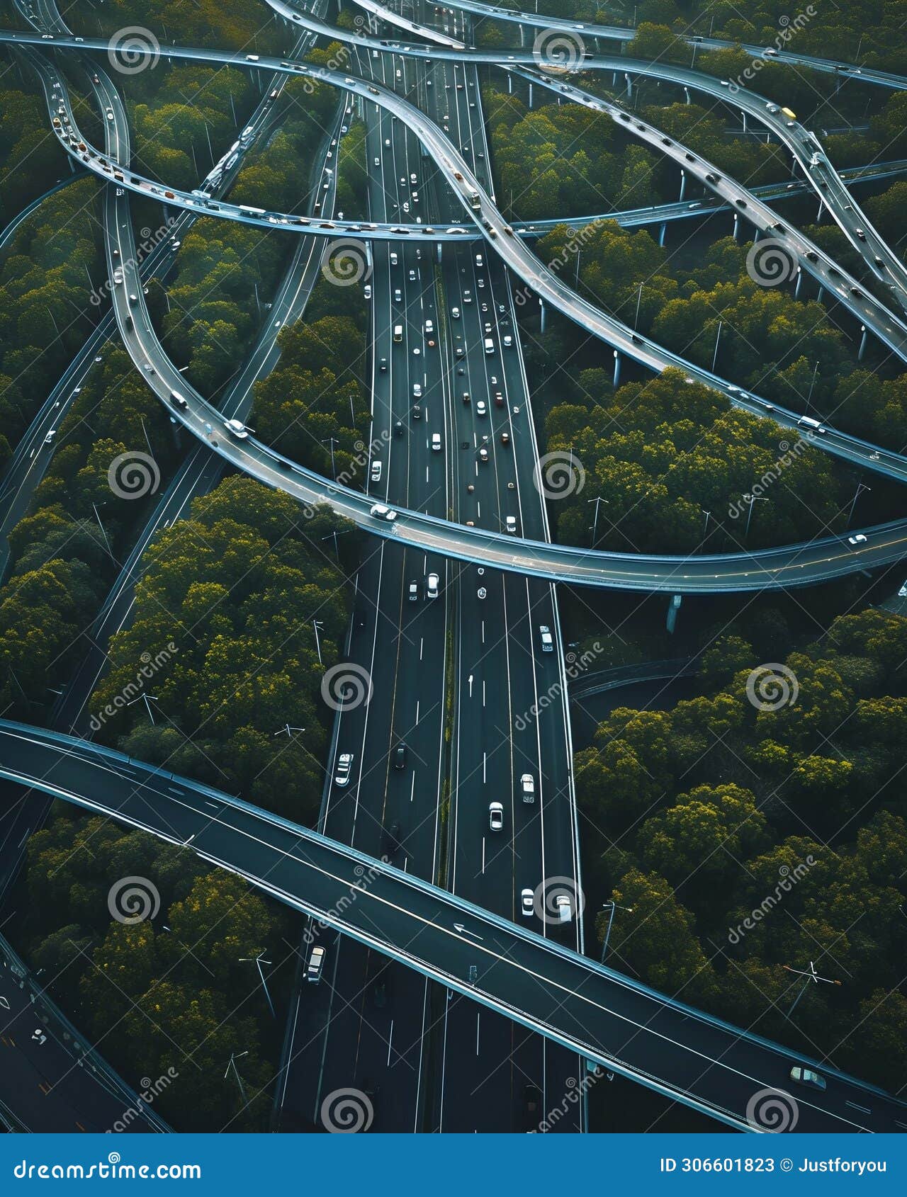 A Complex Highway Interchange Featuring Multiple Elevated Roads ...