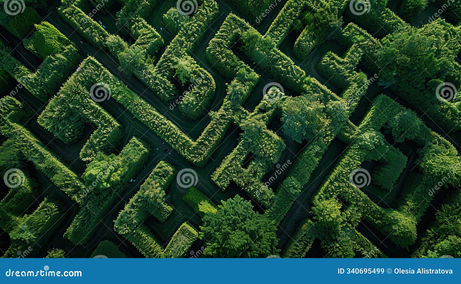 Aerial View of a Complex Maze Made from a Green Hedge Stock ...