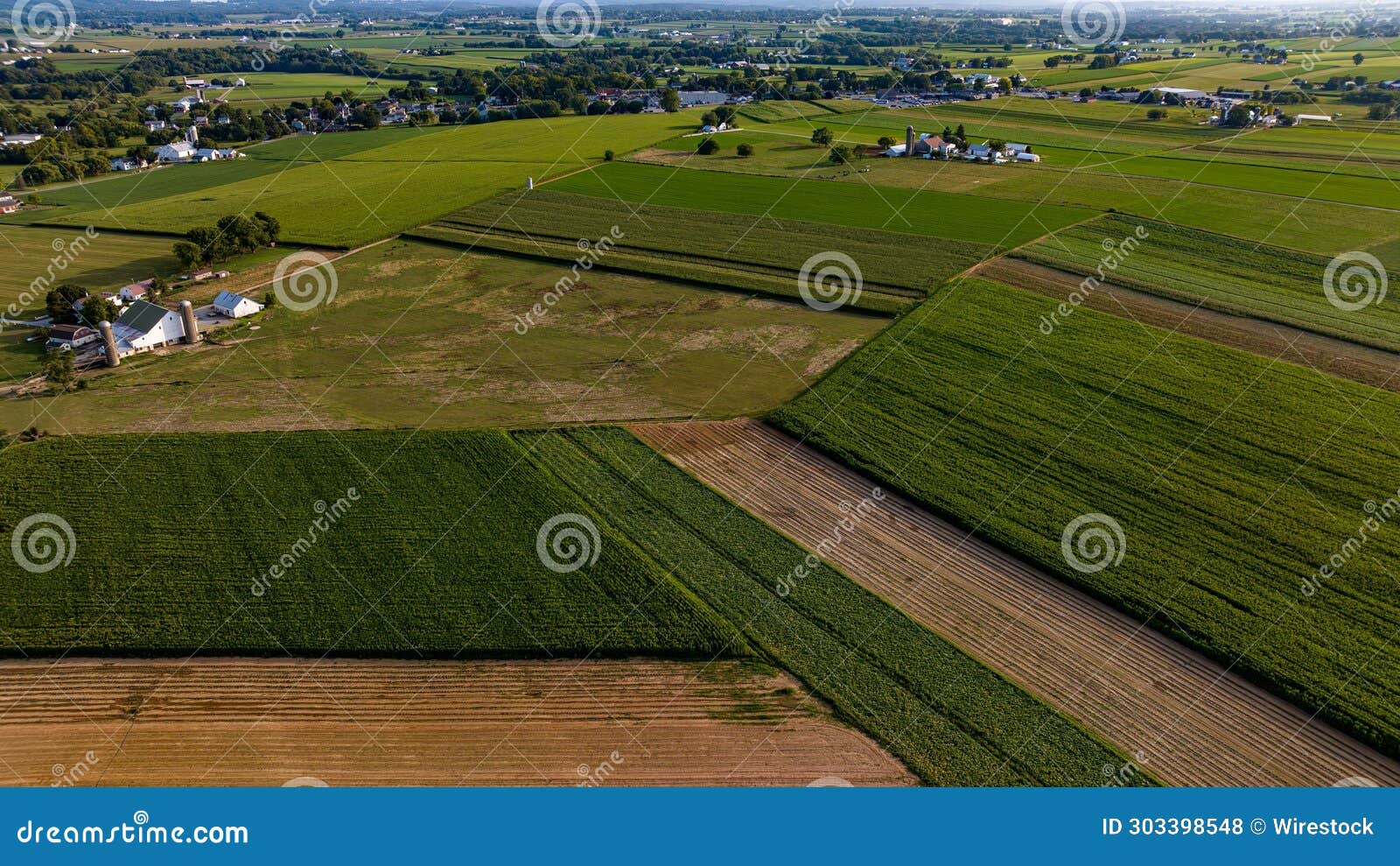Aerial View of a Cornfield with Evenly Spaced Rows and Patterns. Stock ...