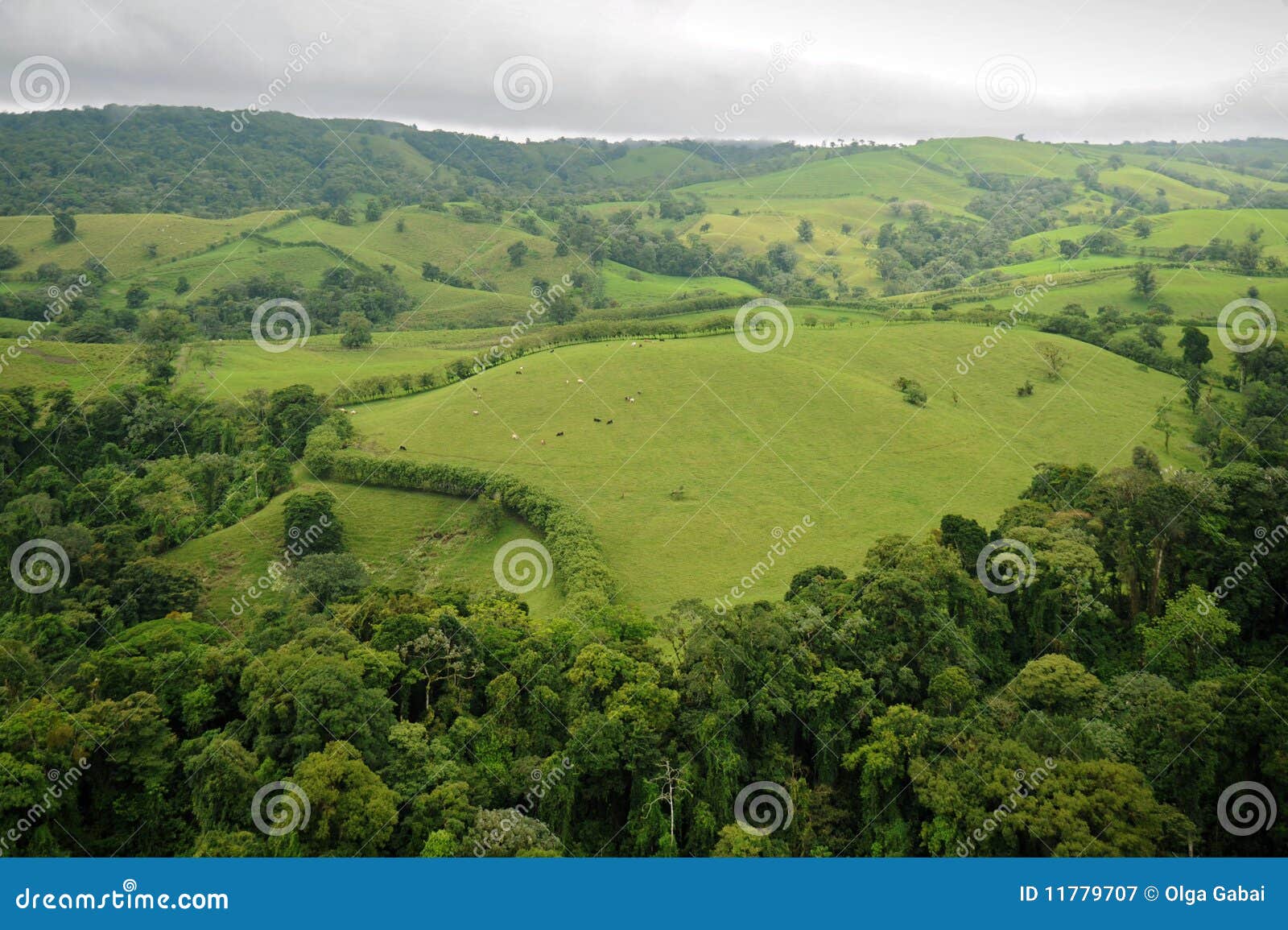 Aerial view in Costa Rica stock image. Image of bush - 11779707