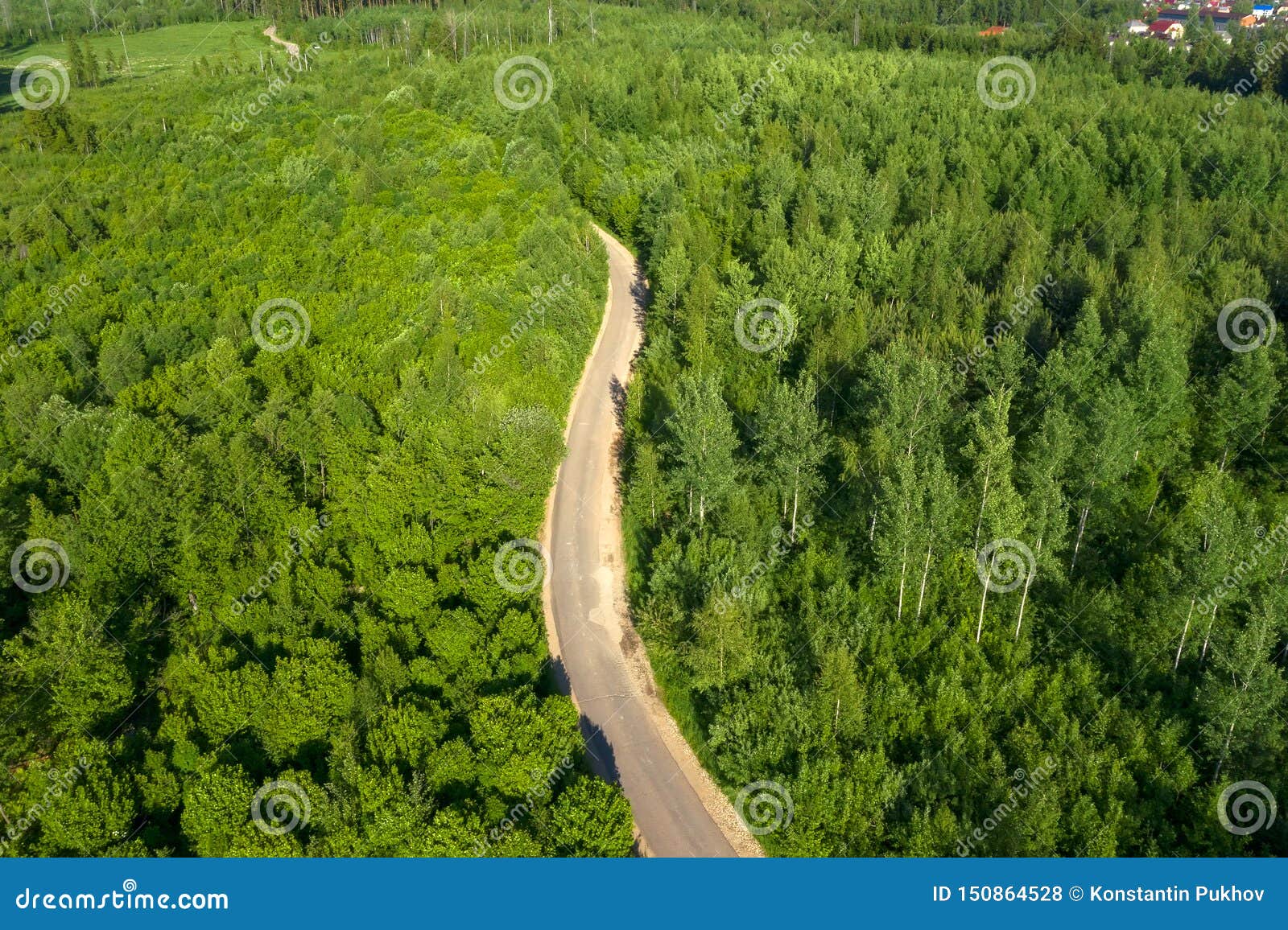 Top View of the Highway through the Forest Stock Photo - Image of ...