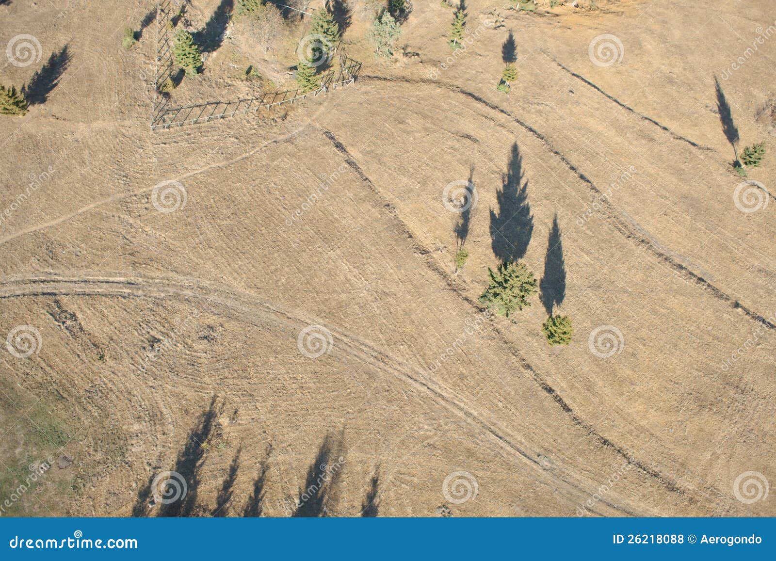 Aerial View of a Country Road and Pine Trees Stock Photo - Image of ...