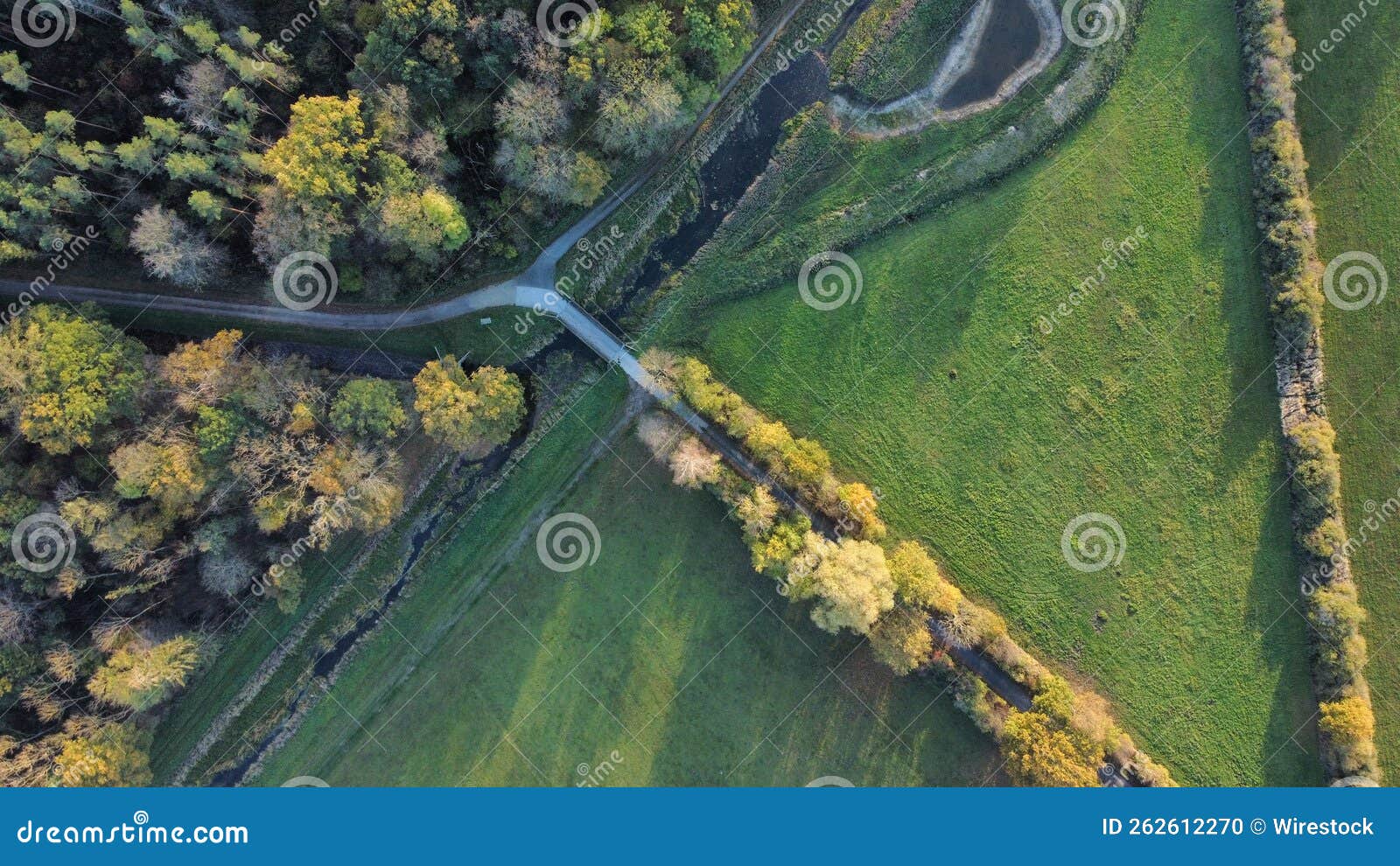 Aerial View of a Countryside Road Surrounded by Trees Stock Photo ...