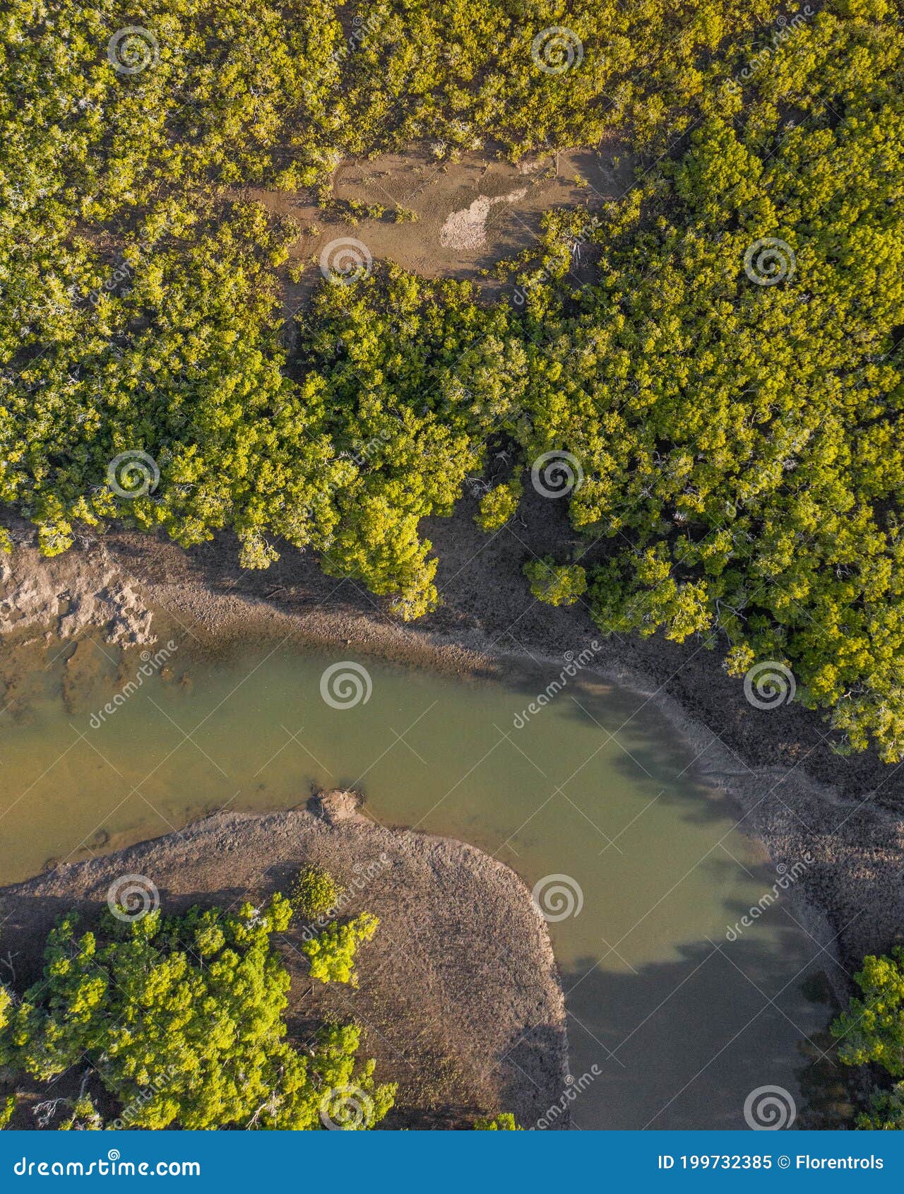 Aerial View of a Creek at Sunrise Stock Image - Image of nature ...