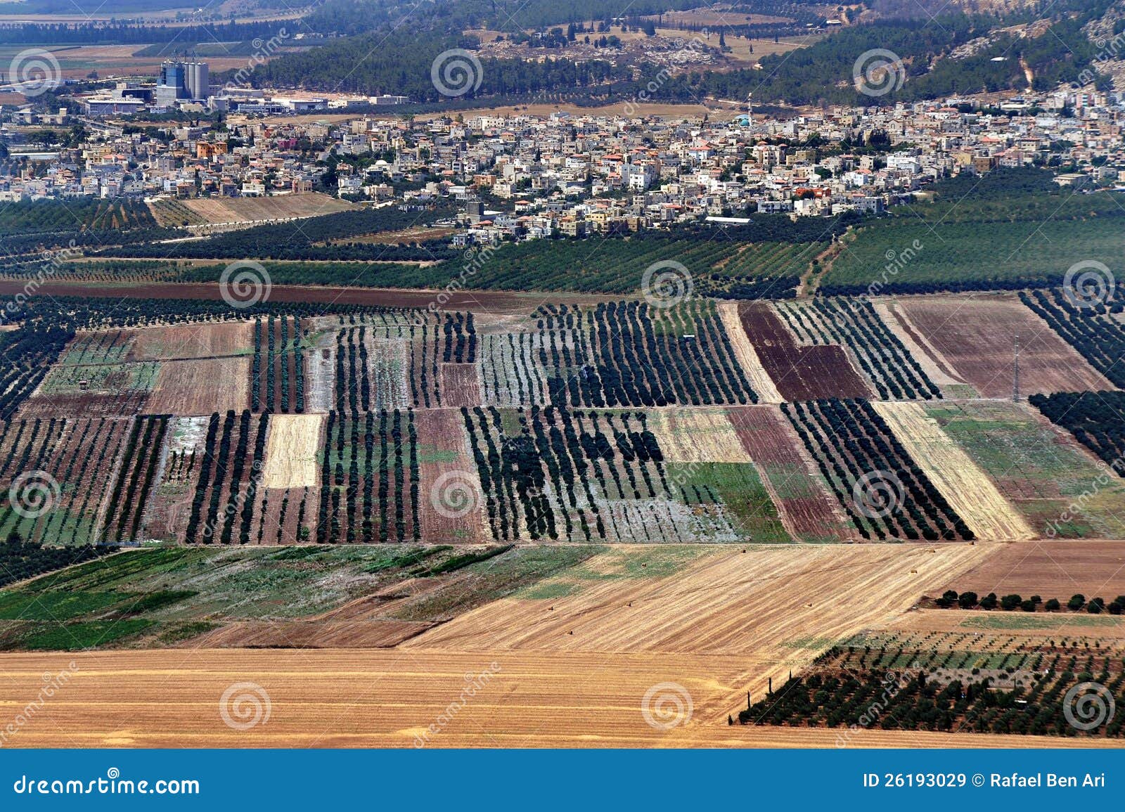 Aerial View of Cultivated Fields in Izrael Valley Stock Image - Image ...