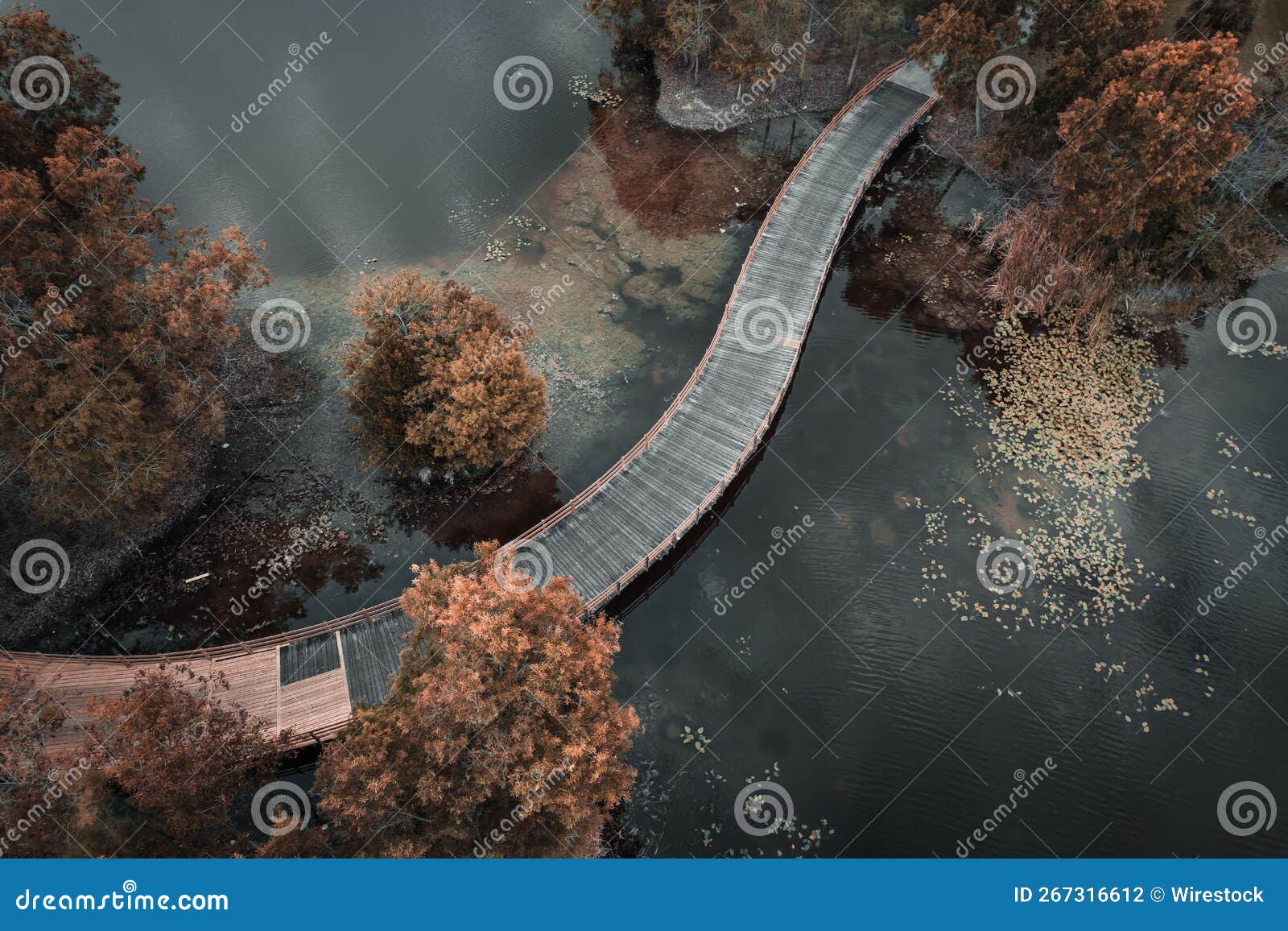 Aerial View of a Curve Boardwalk on the Lake Stock Photo - Image of ...