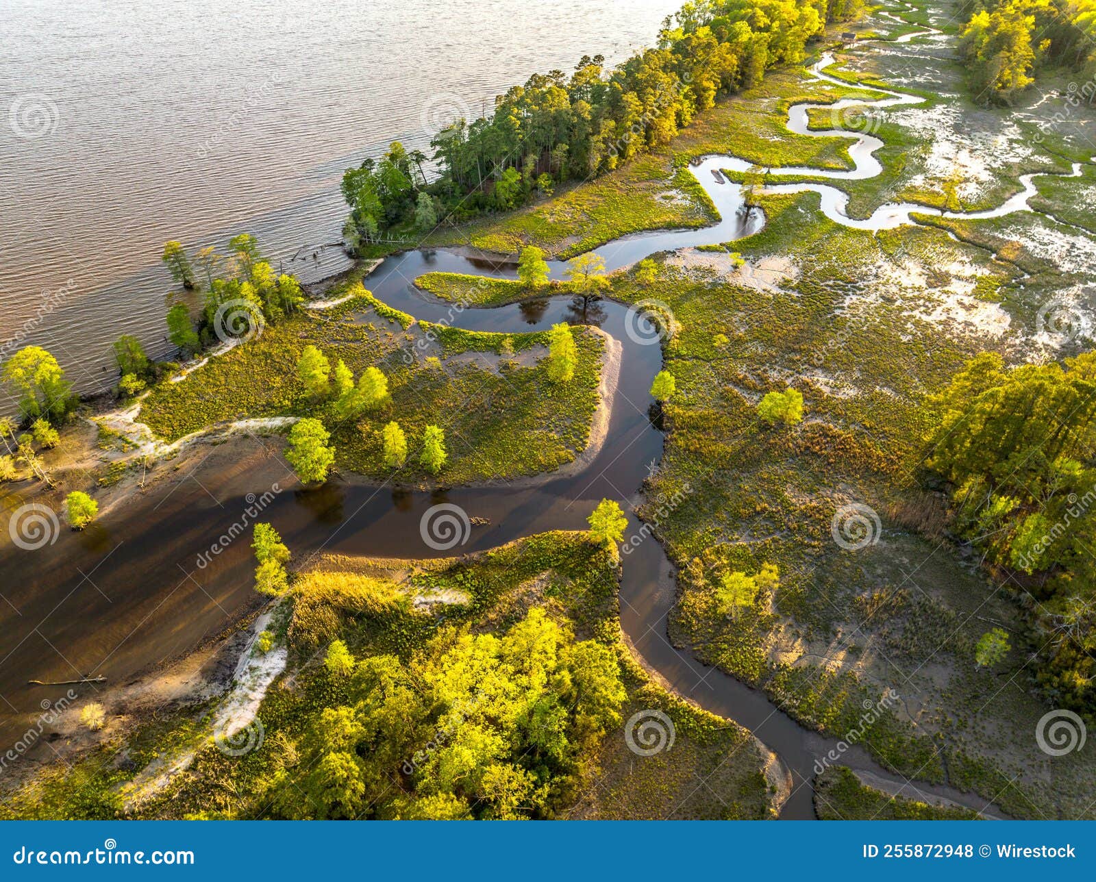 Aerial View of a Curve Lake with Trees Stock Photo - Image of view ...