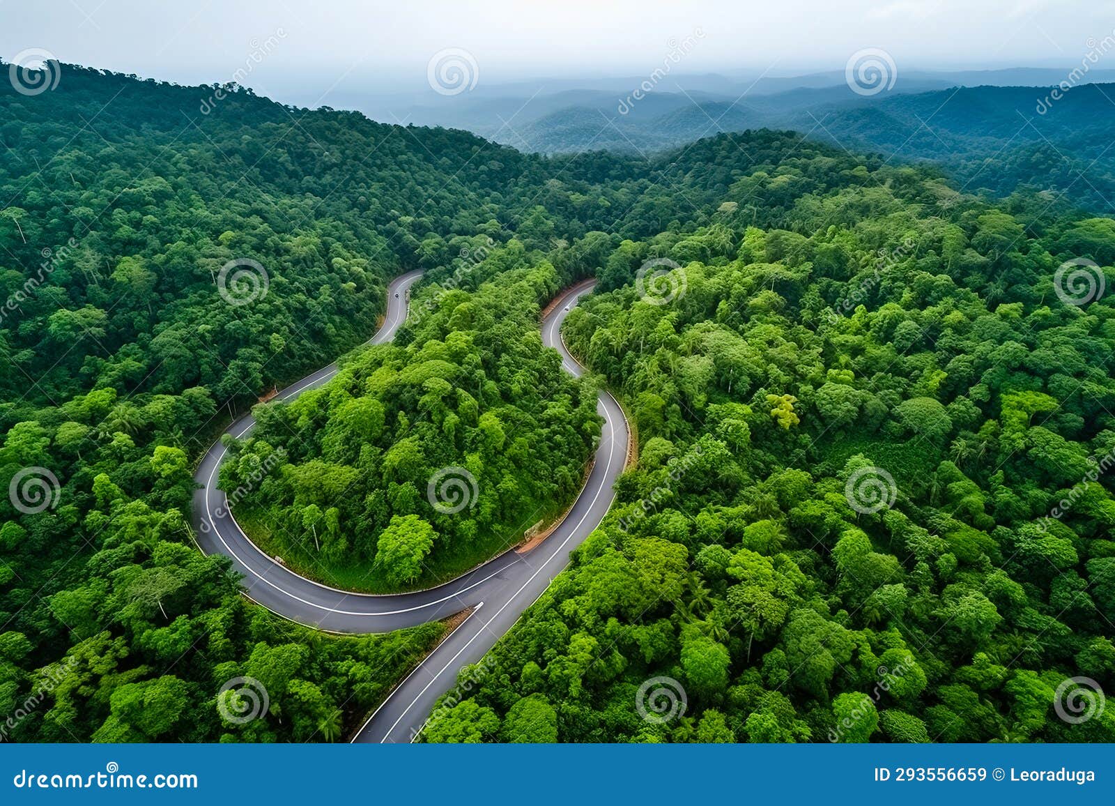 Aerial View of Curve Road on Green Forest Stock Illustration ...