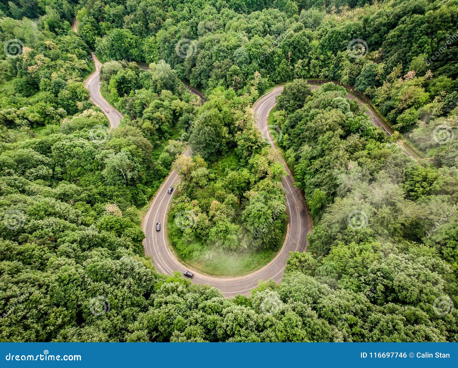Aerial View of a Curved Road in the Forest Stock Photo - Image of rural ...