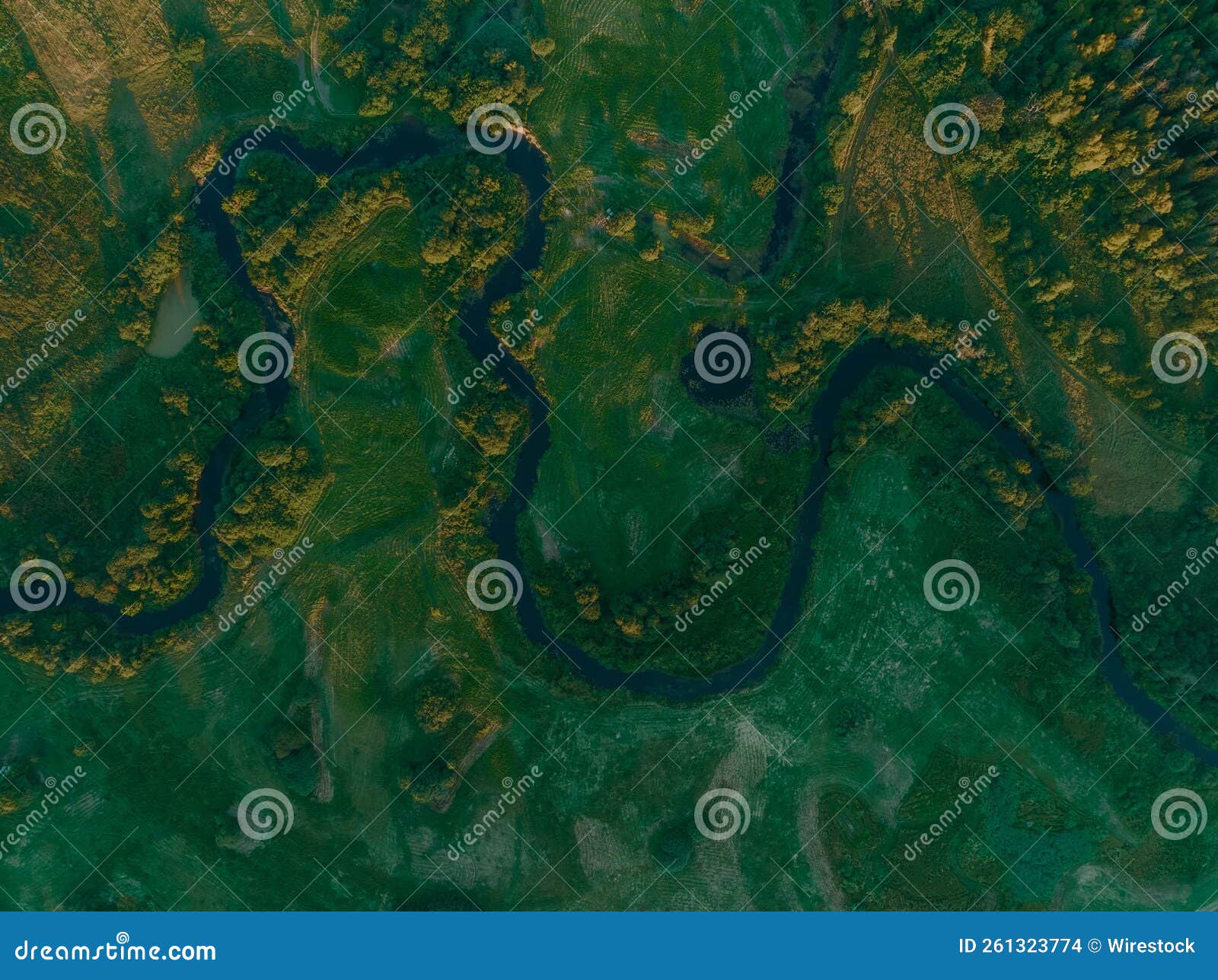 Aerial View of a Curvy River through the Green Forested Valley Stock ...