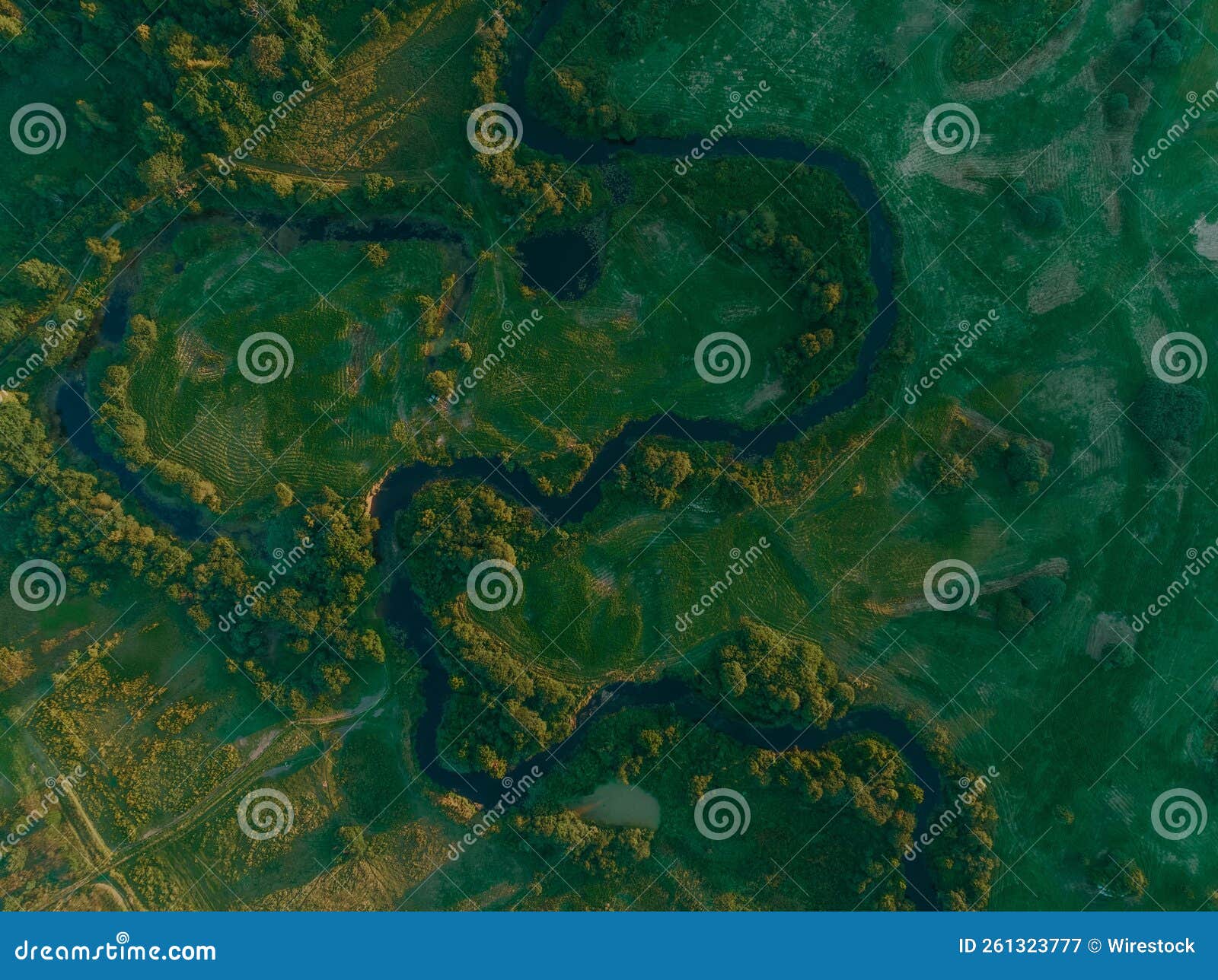 Aerial View of a Curvy River through the Green Forested Valley Stock ...