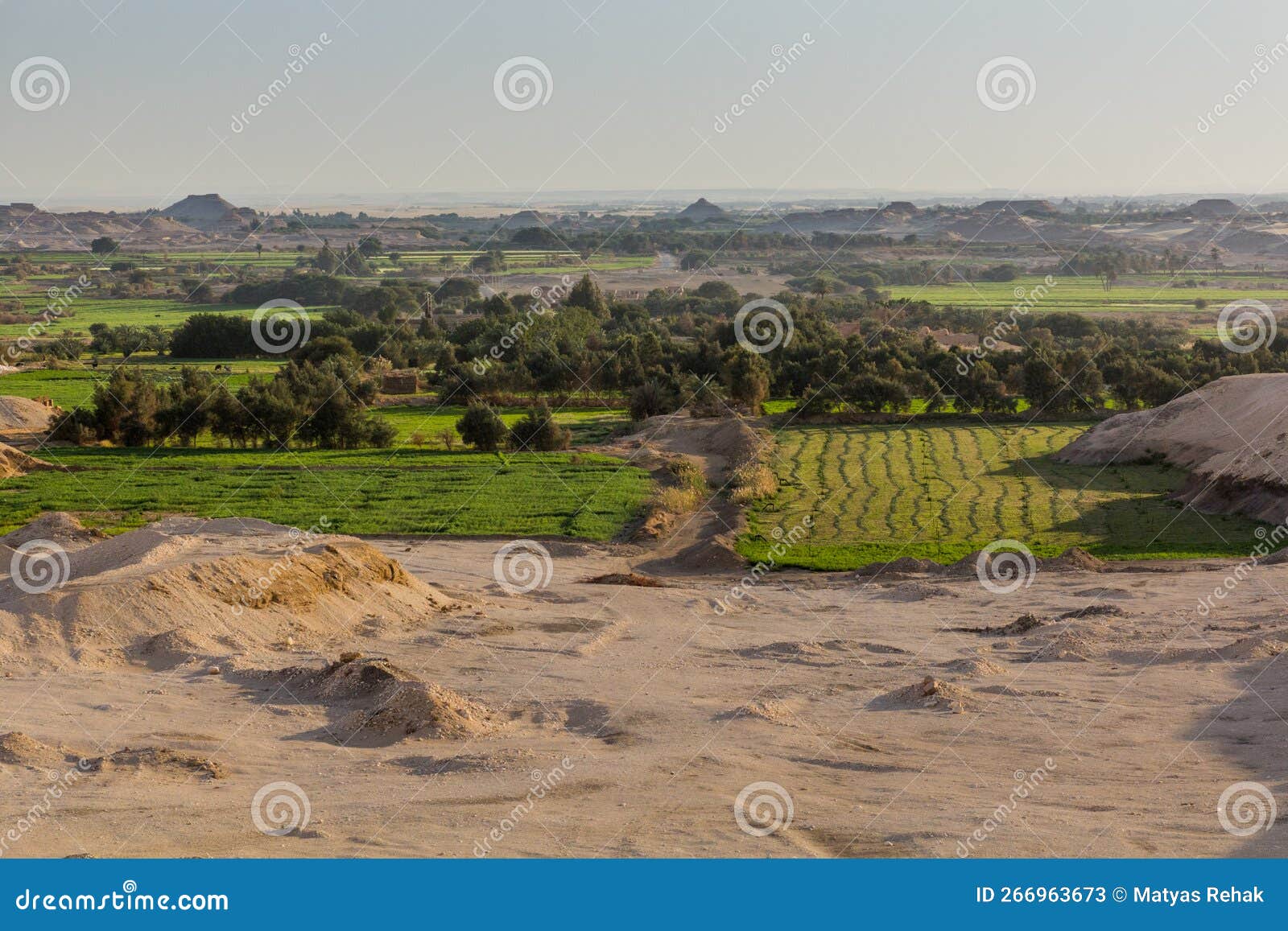 Aerial View of Dakhla Oasis, Egy Stock Image - Image of palm, plant ...
