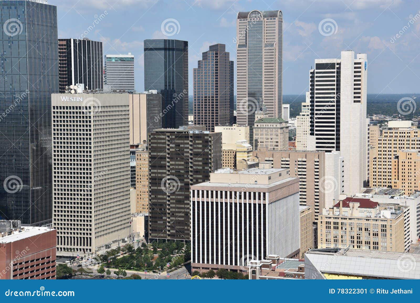 Top View Dallas Landmark Bridge Margaret McDermott On Overflow Trinity ...