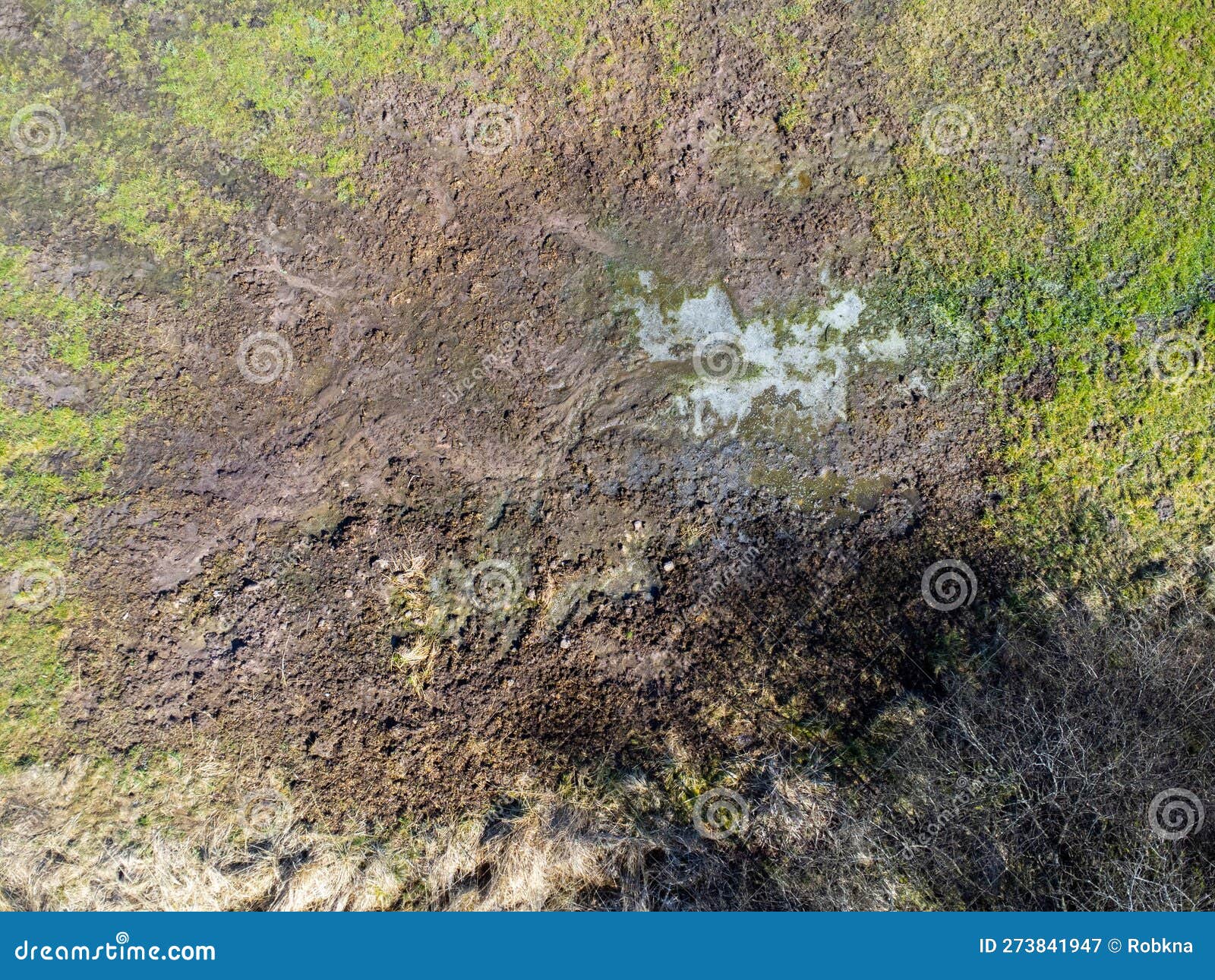 Aerial View of Damage of Wild Boar in a Meadow Stock Image - Image of ...