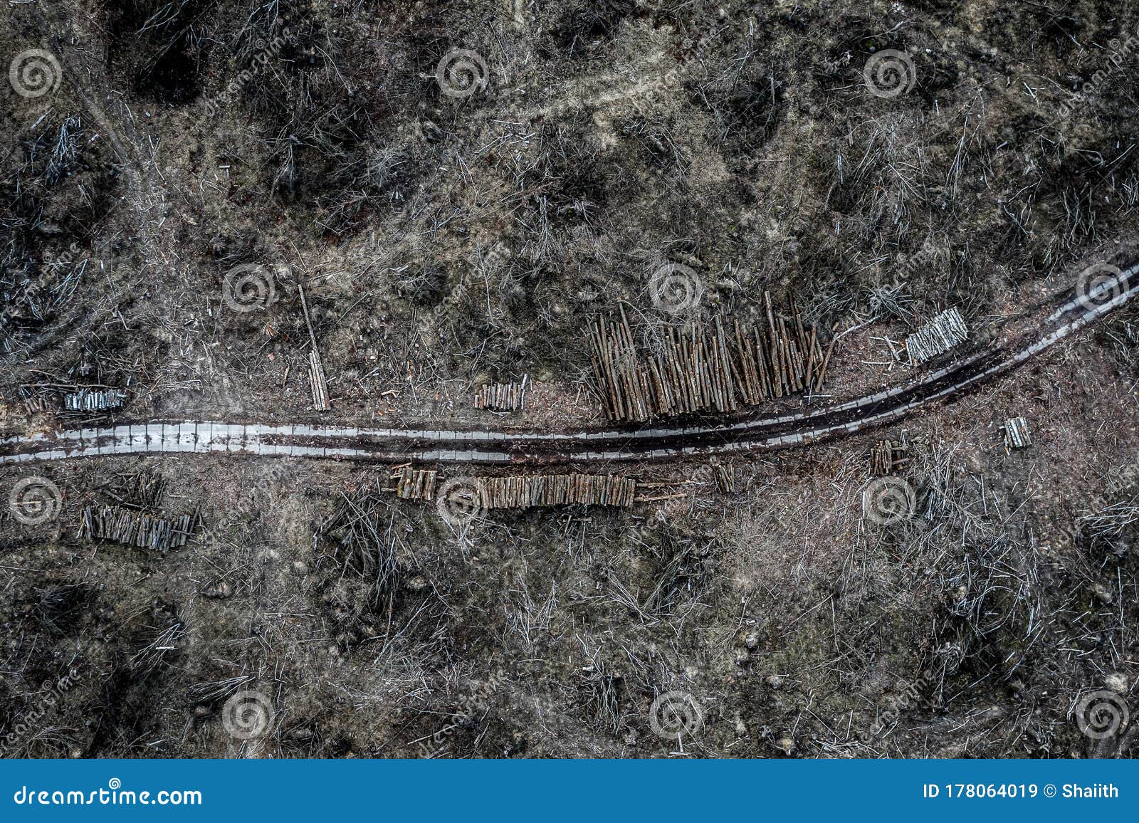 Aerial View of Deforestation, Environmental Destruction in Poland Stock ...