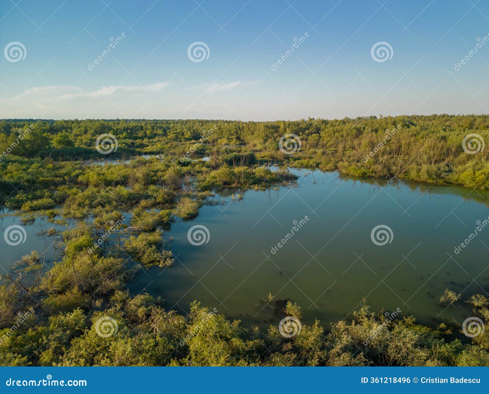 Aerial View with a Delta, an Ecosystem Full of Lakes and Green Willows ...