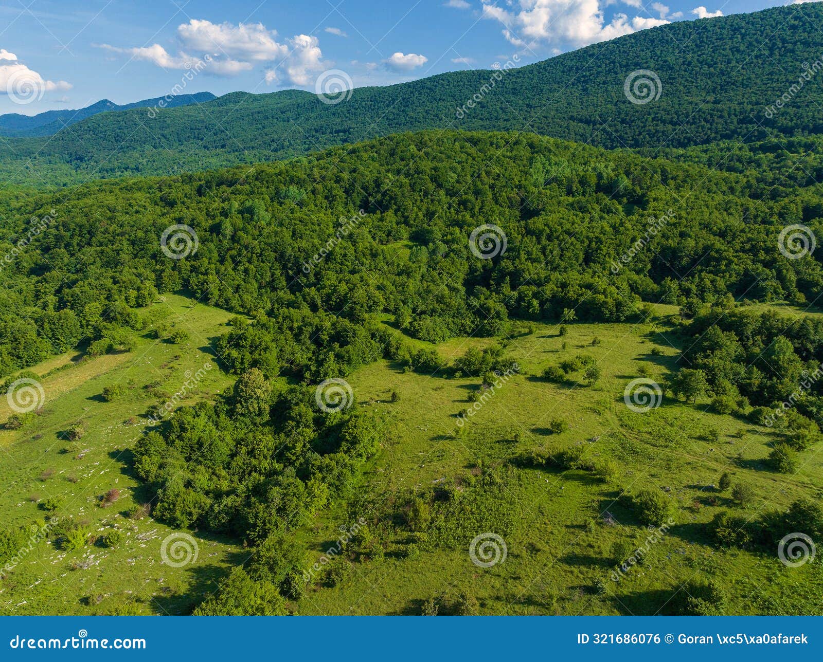 Aerial View of Dense Forest on the Foothill of the Velebit Mountain ...