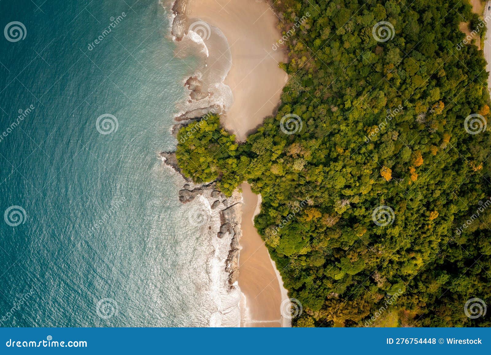 Aerial View of Dense Green Trees Near the Ocean Stock Photo - Image of ...