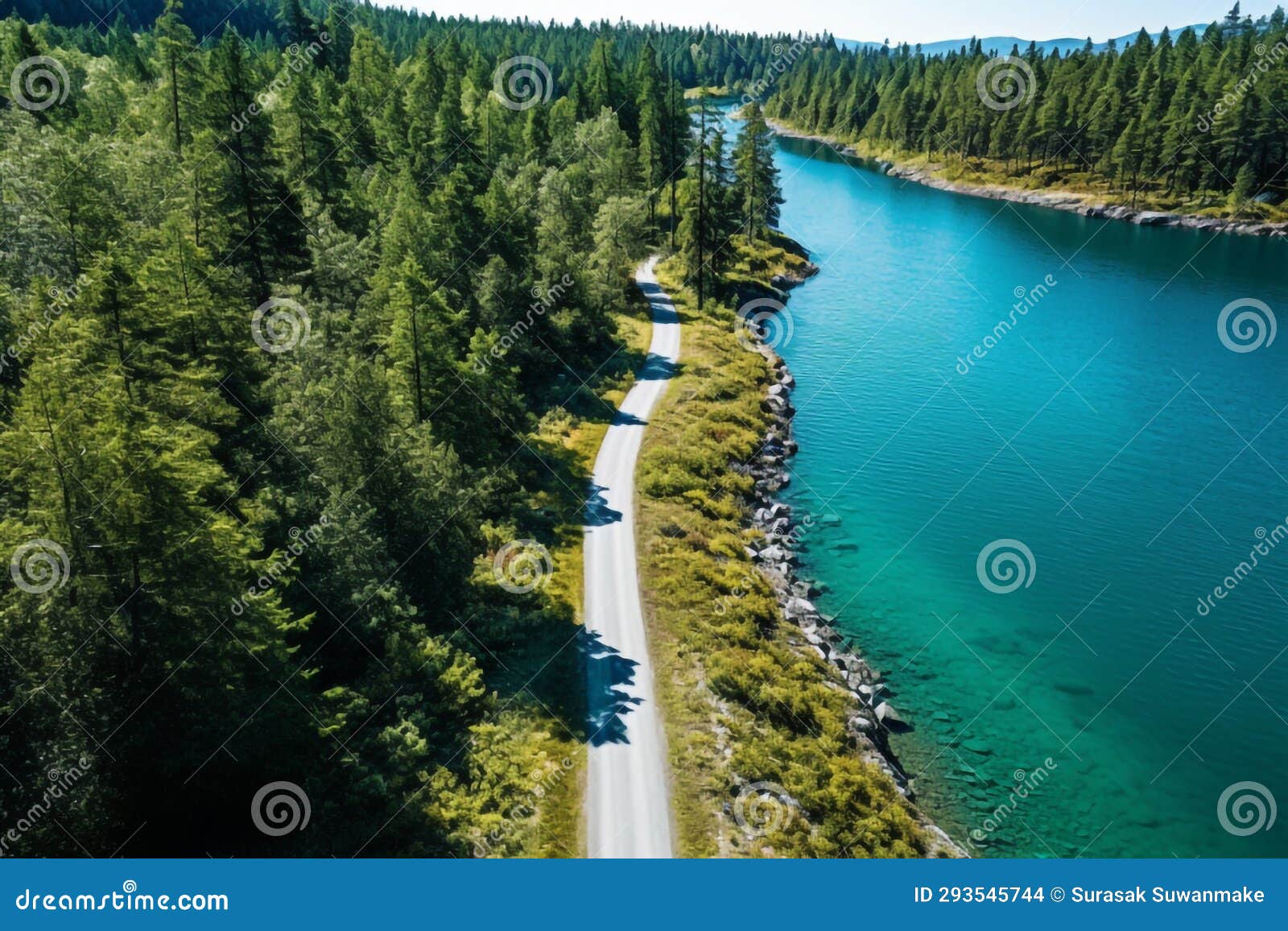Aerial View of a Dense, Multi-colored Autumn Forest with a Road Cutting ...