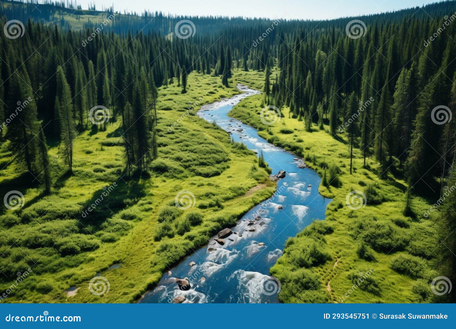 Aerial View of a Dense, Multi-colored Autumn Forest with a Road Cutting ...